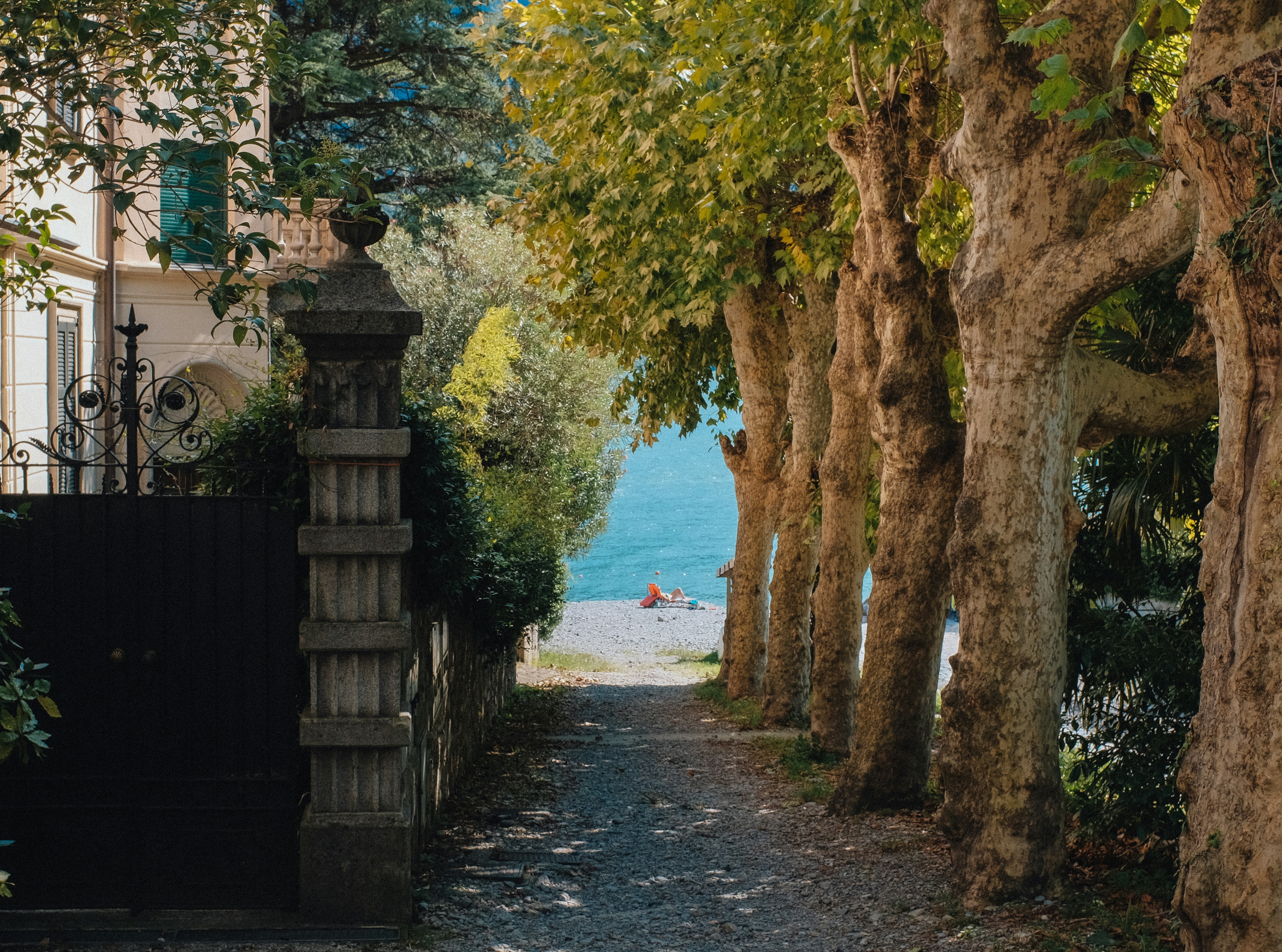 Sunlit Path to the Sea: A Corridor of Terracotta Trees