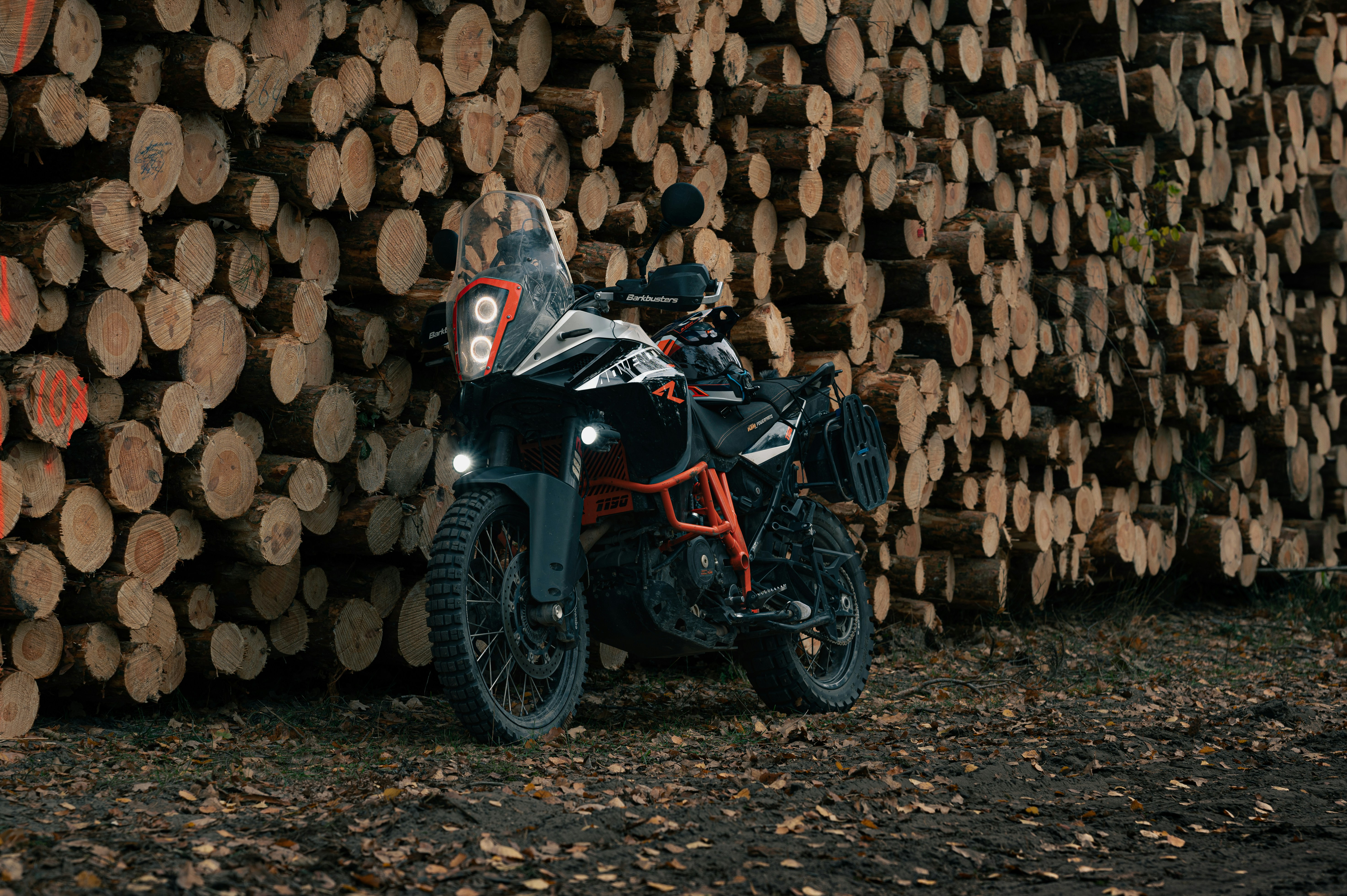 Iron Horse at the Timber Stack