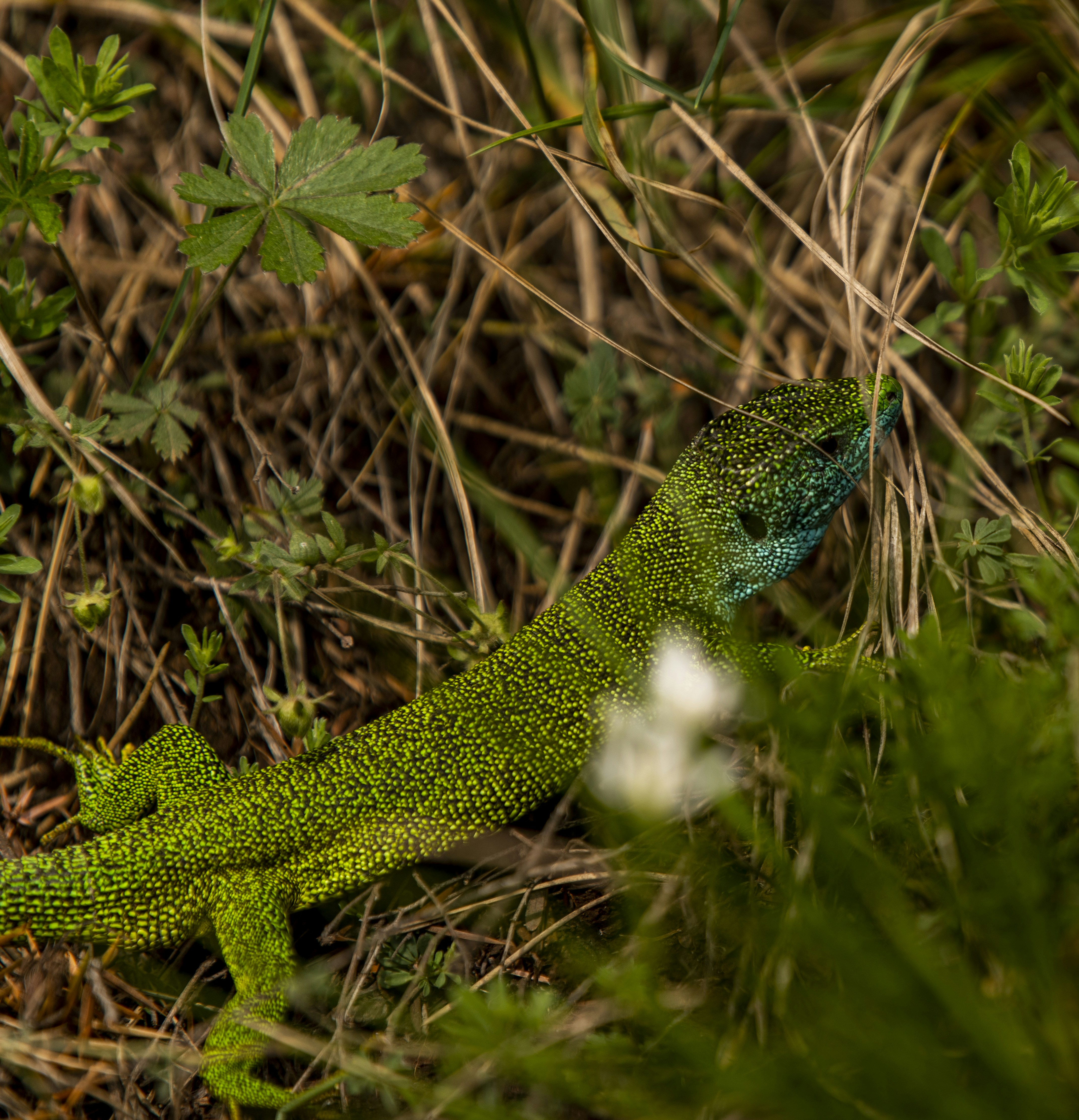 Photo by Shahabudin Ibragimov with Nikon D850