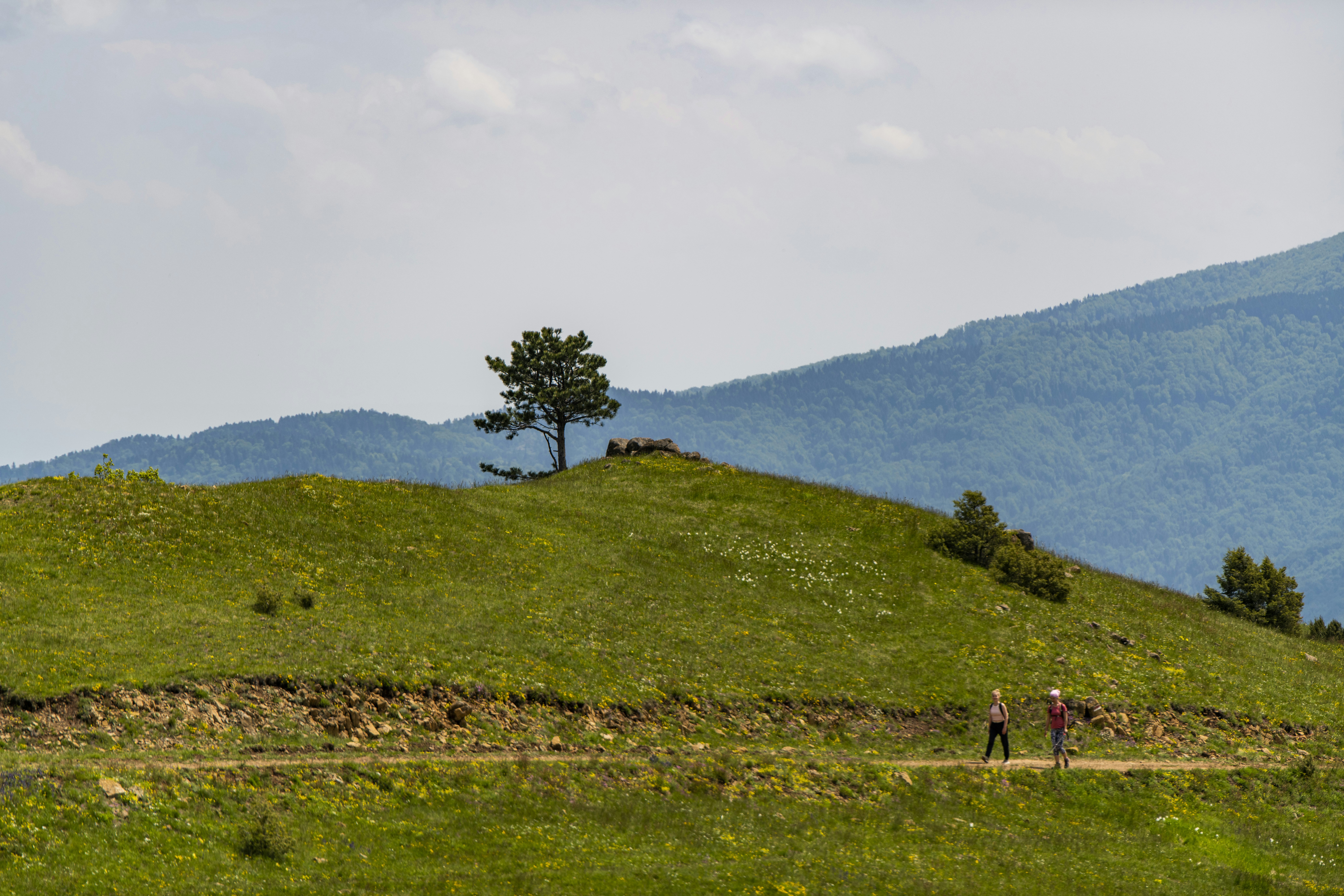 A couple of people walking up a hill photo – Free Human Image on Unsplash