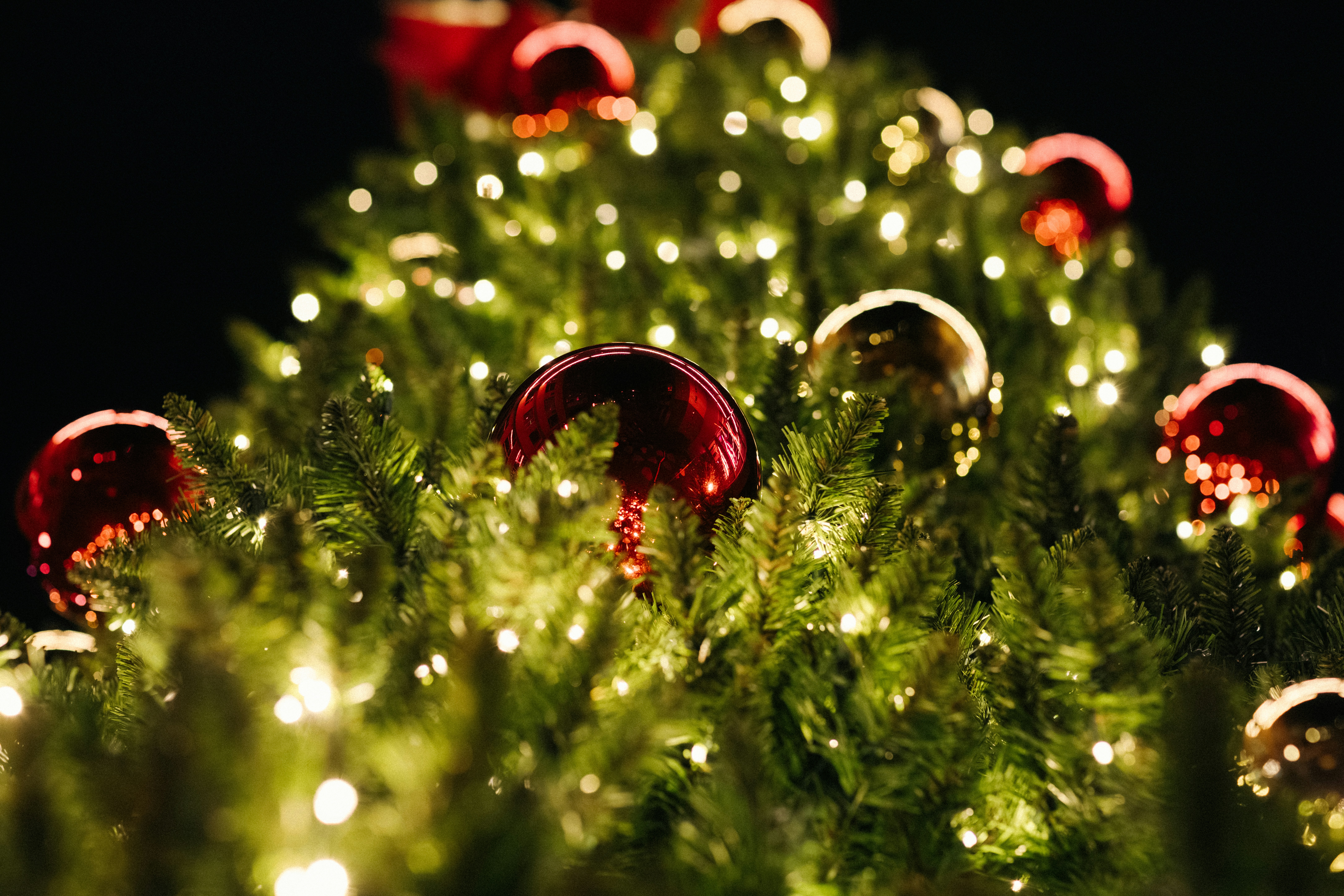 Christmas tree adorned with red and gold baubles, glowing warmly against a dark backdrop.