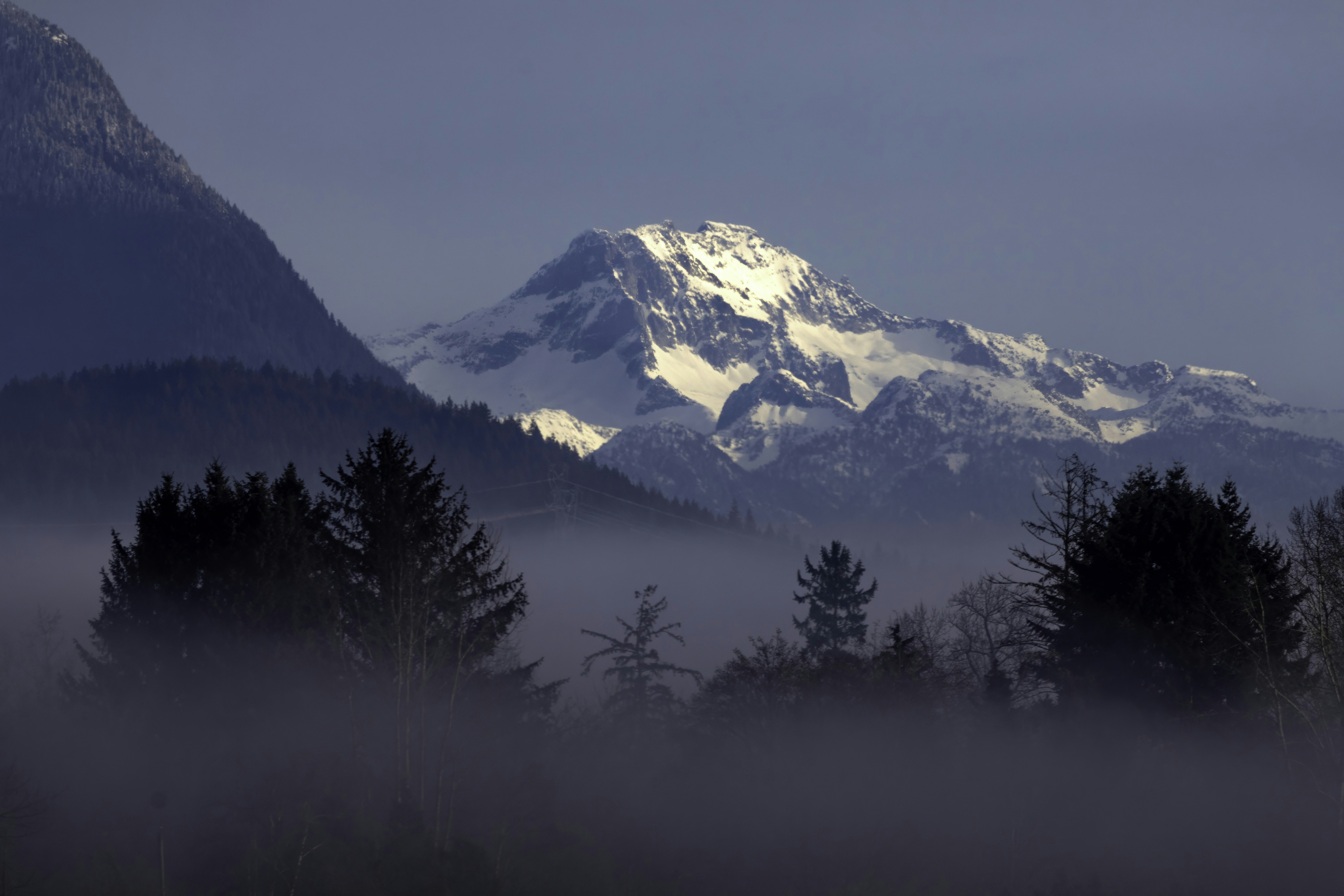 Blue Hour Summit Emerging Through Morning Mist Over a Silent Forest