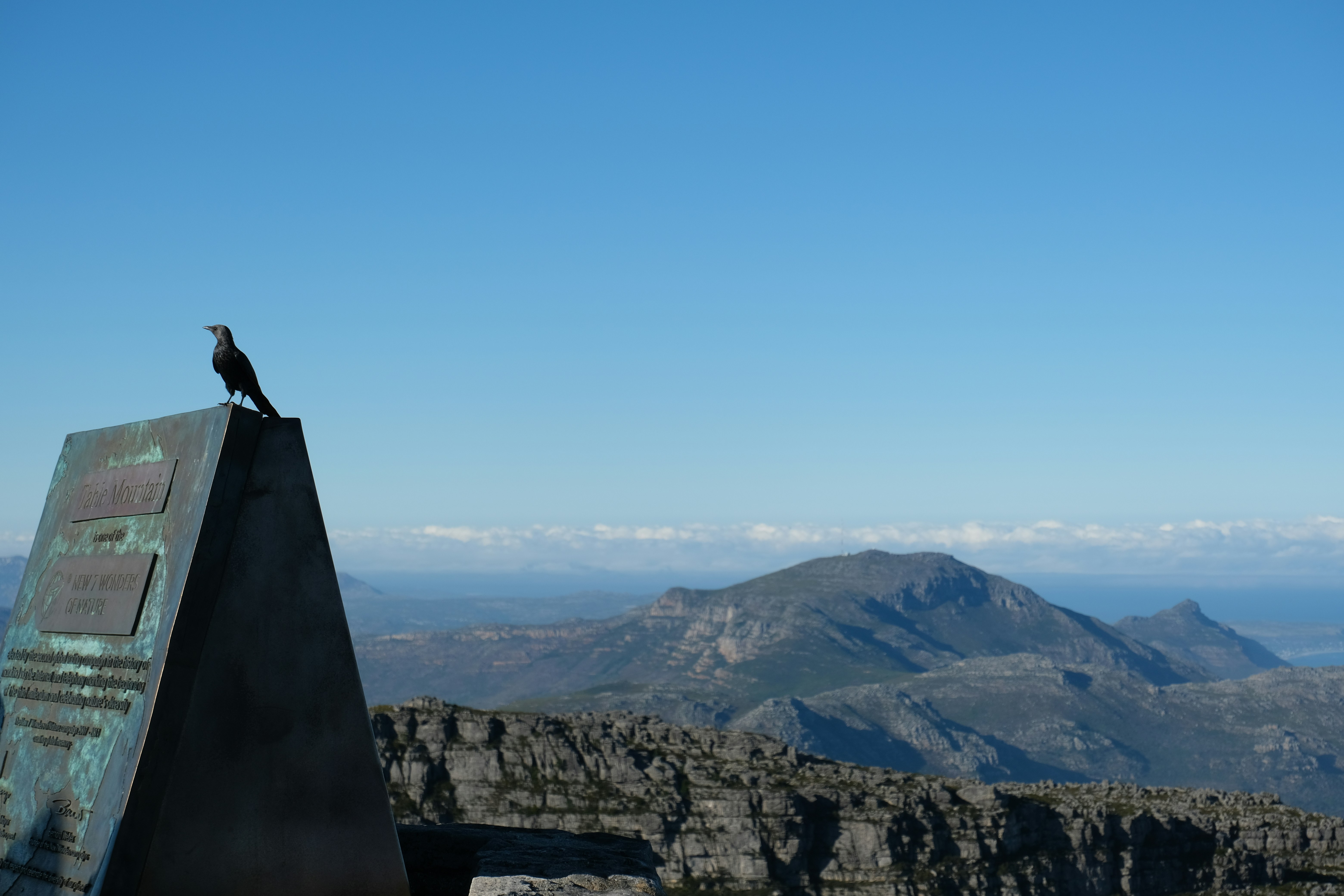 Vigilant Seabird Over a Stone Marker at a Mountain Summit