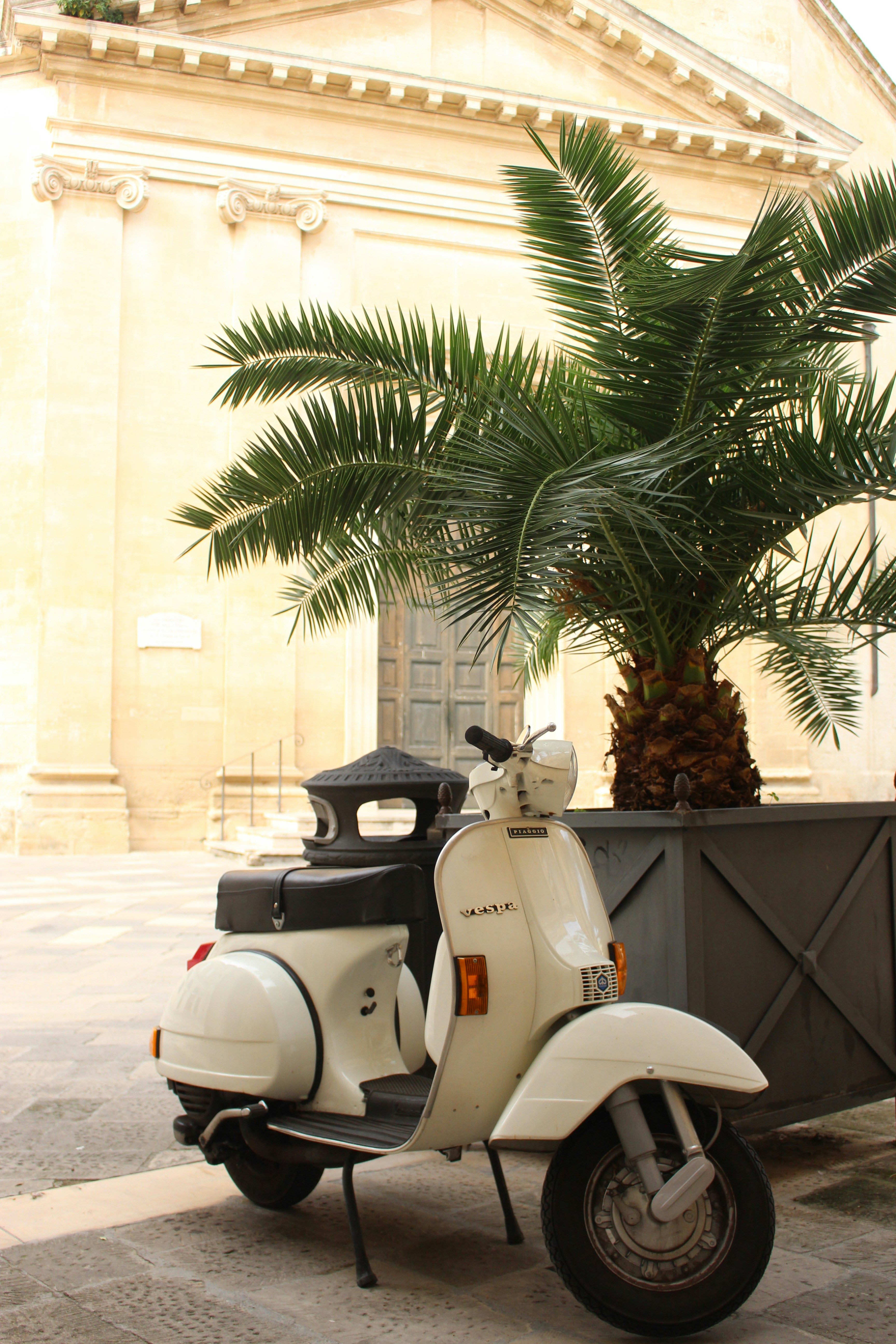 Cream Vespa Beneath a Palm in a Sunlit Mediterranean Plaza