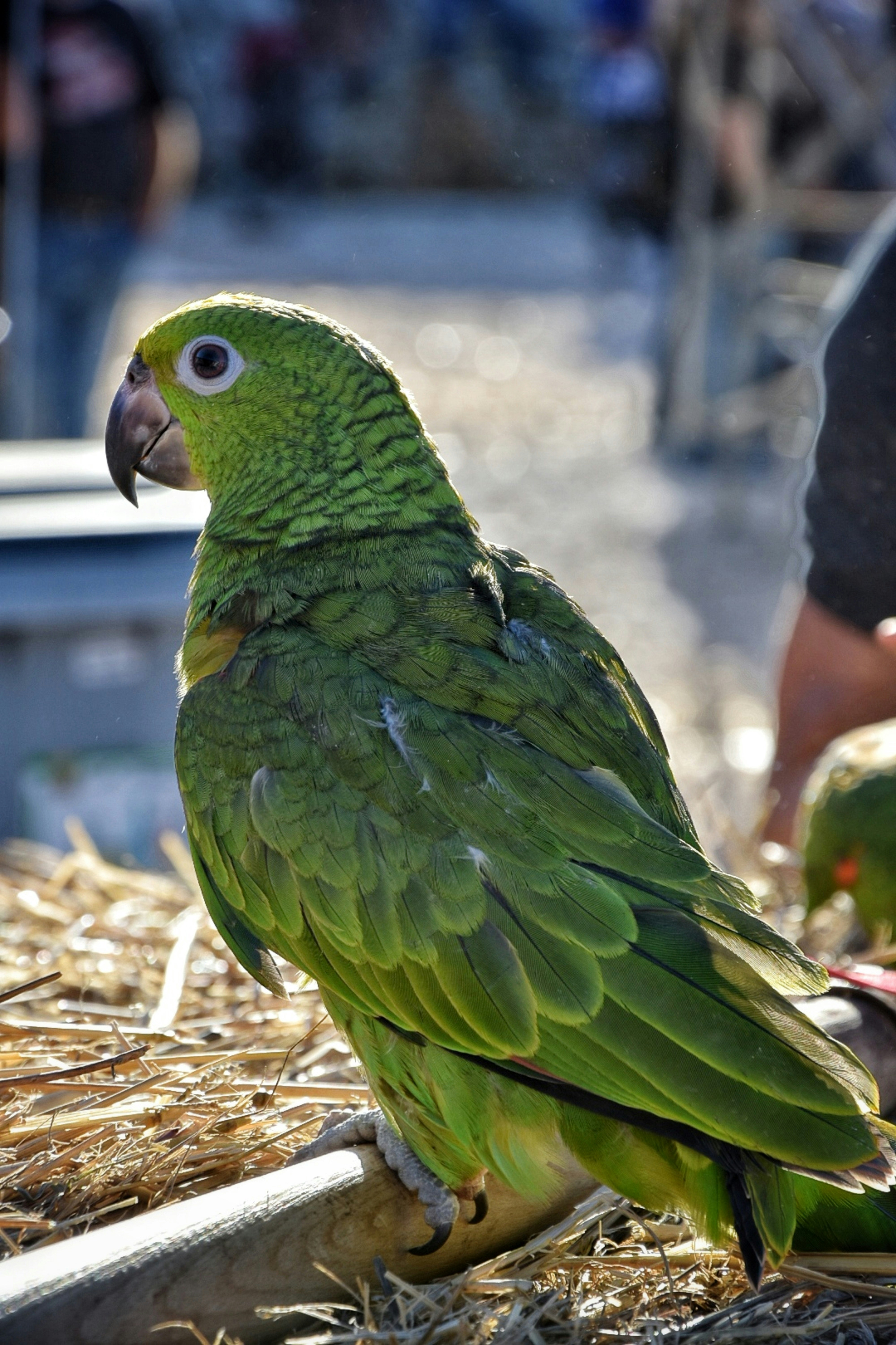 Gabriele Calabrese (@gabboo01) | Unsplash Photo Community
