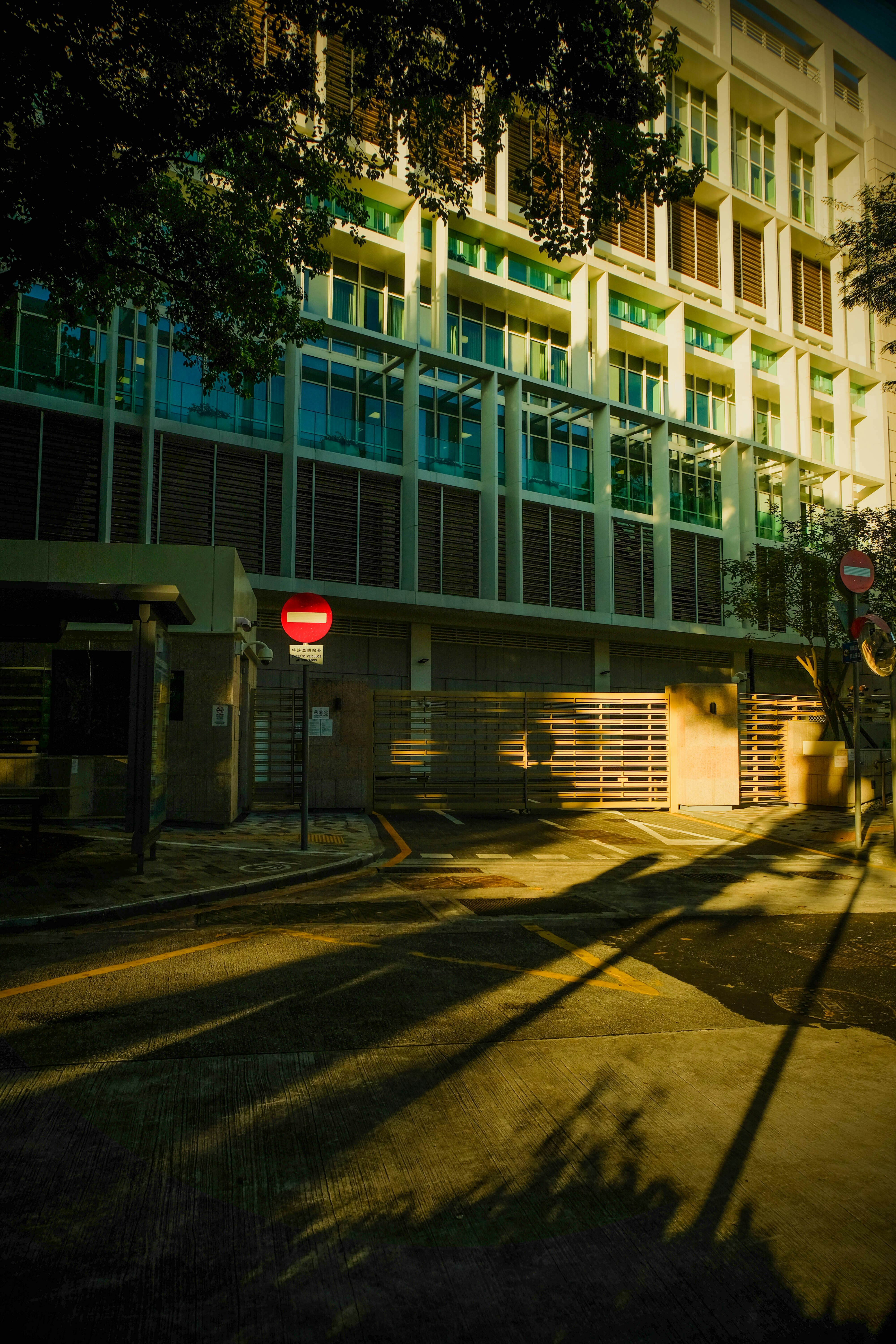Urban Shadows: Sunlit Facade and Quiet Entry