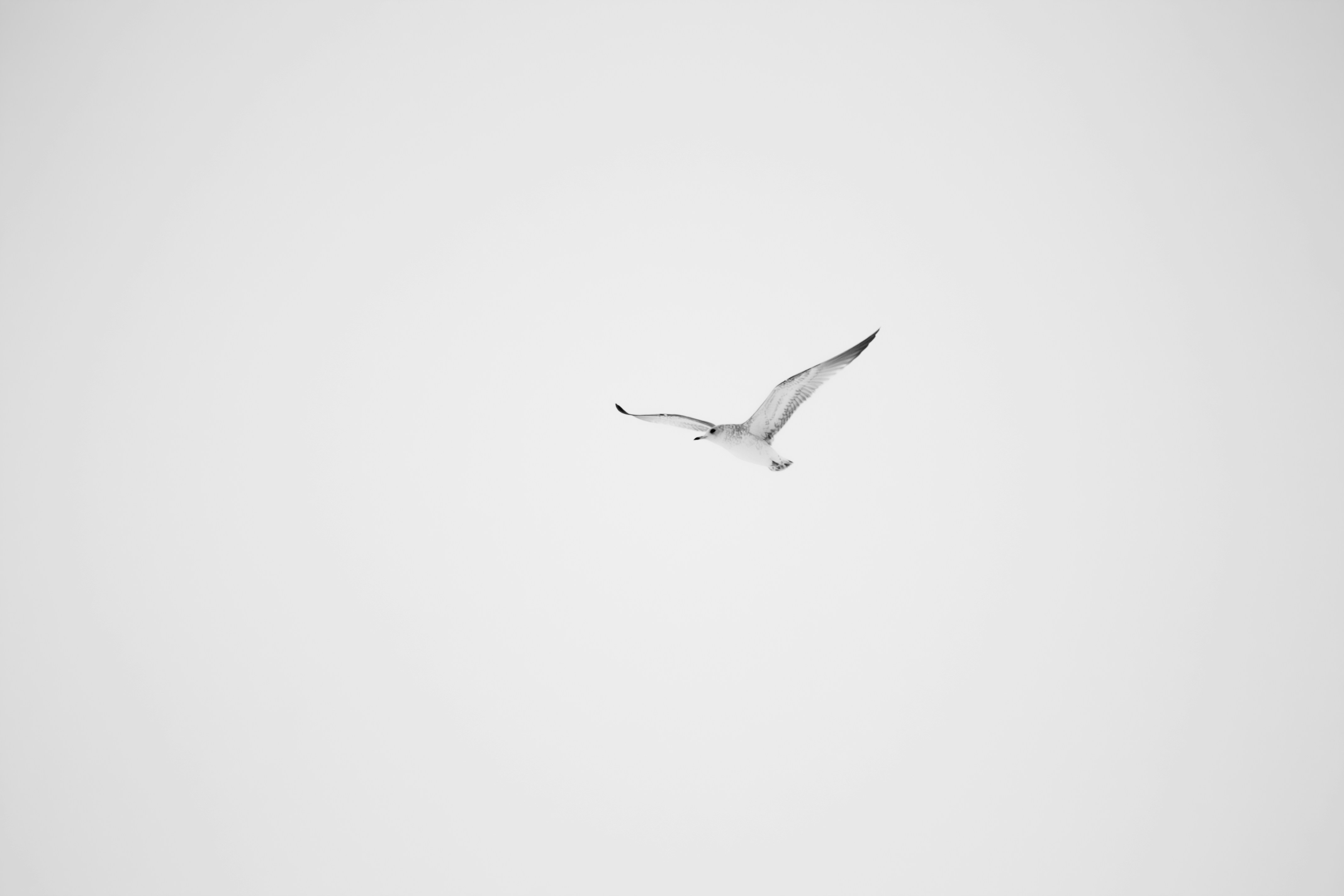 Photo by Jack Baxter with Canon EOS 1100D