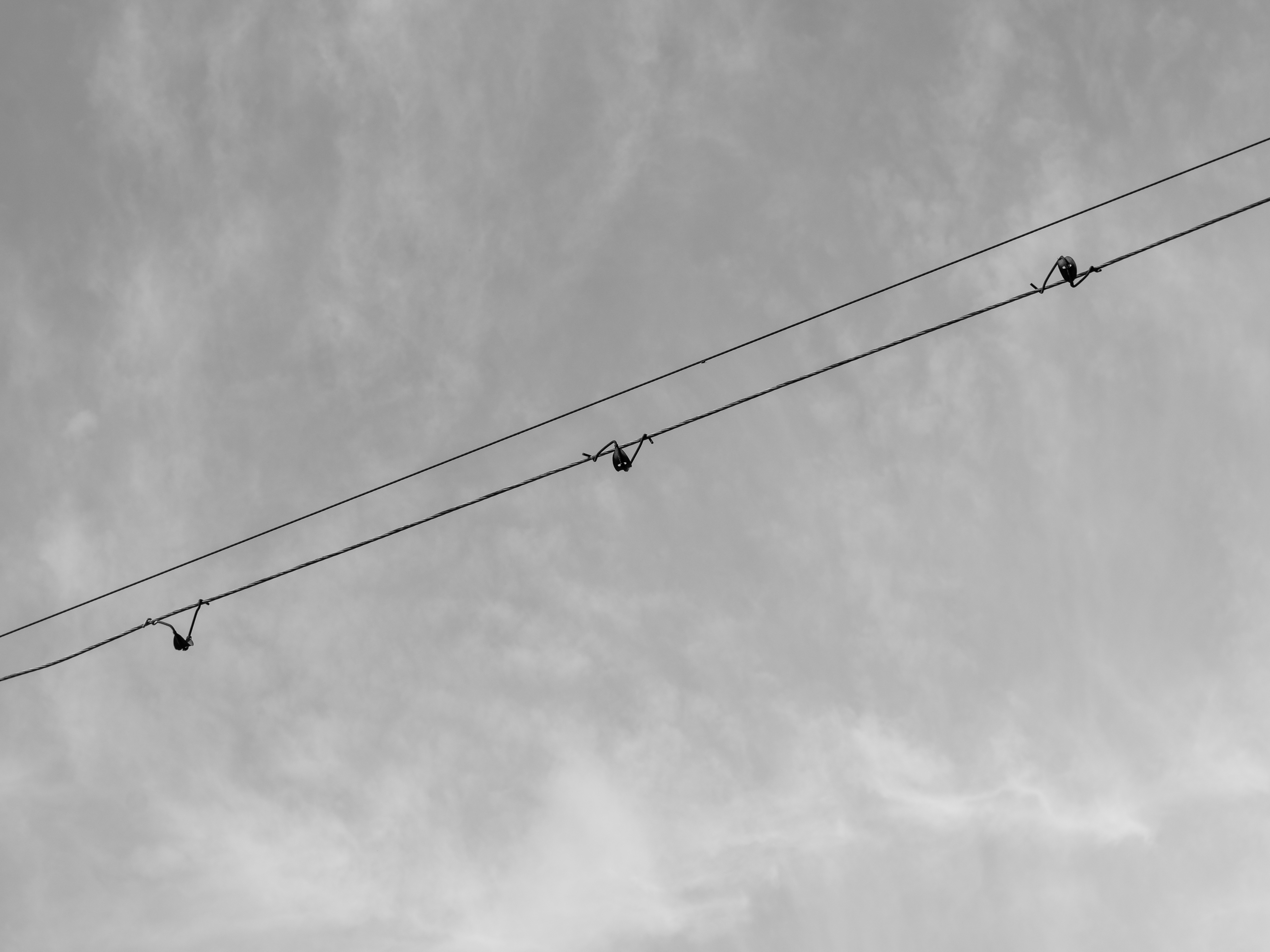 A black and white photo of birds sitting on a wire