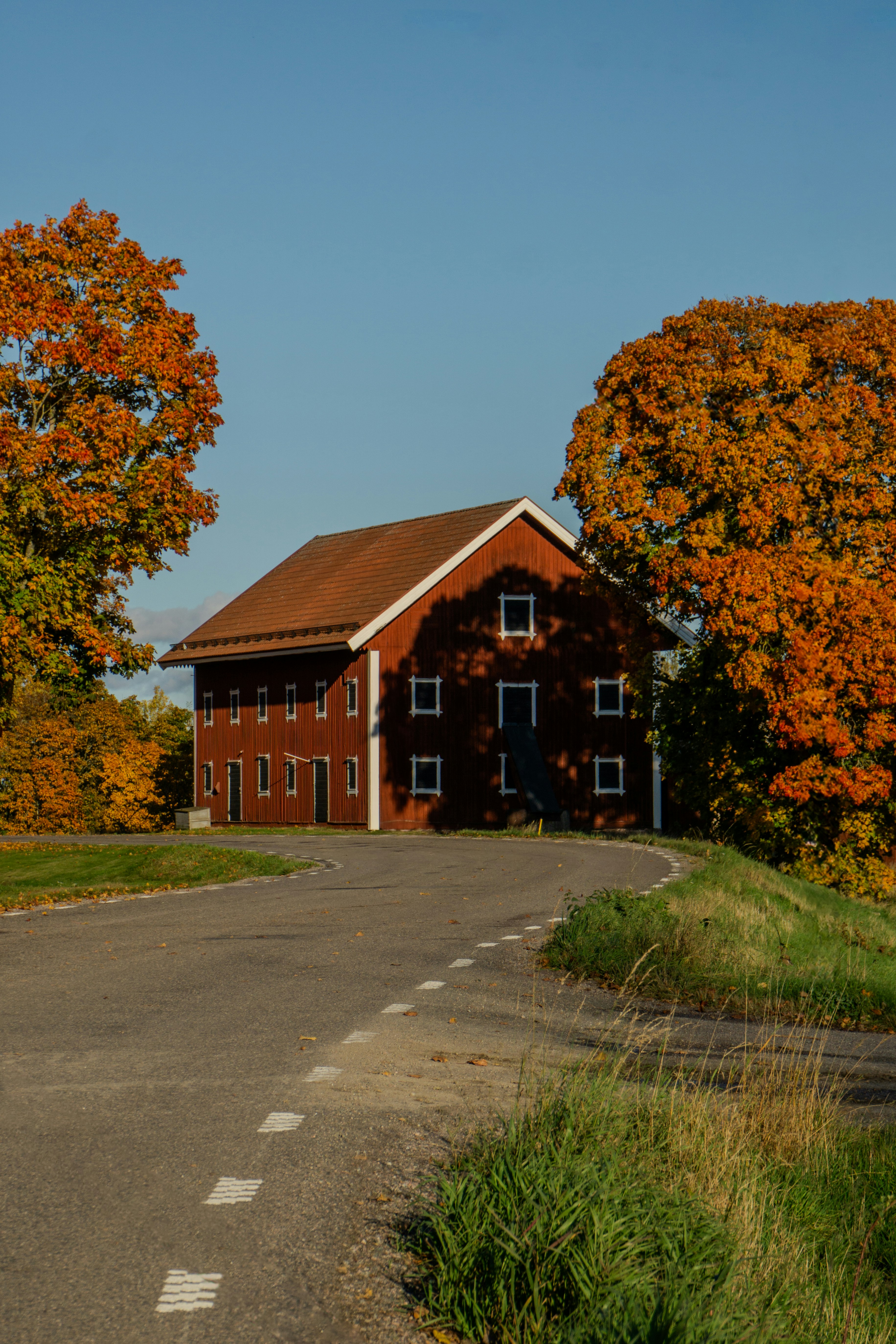 A charming red house nestled between vibrant autumn trees, showcasing the beauty of seasonal change along a winding road.