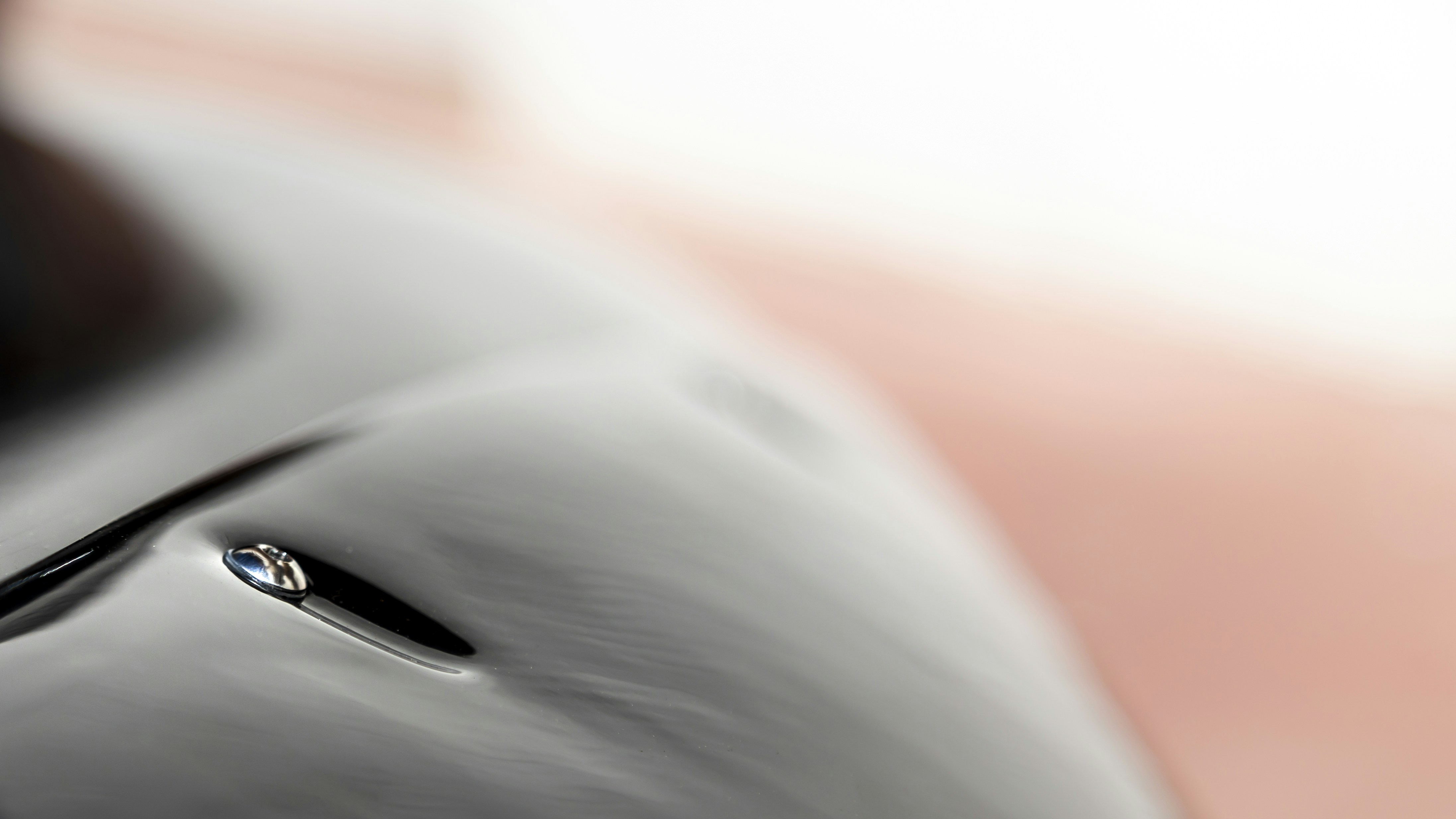 Framed Shine: Close-up of a BMW Emblem on a Glossy Hood