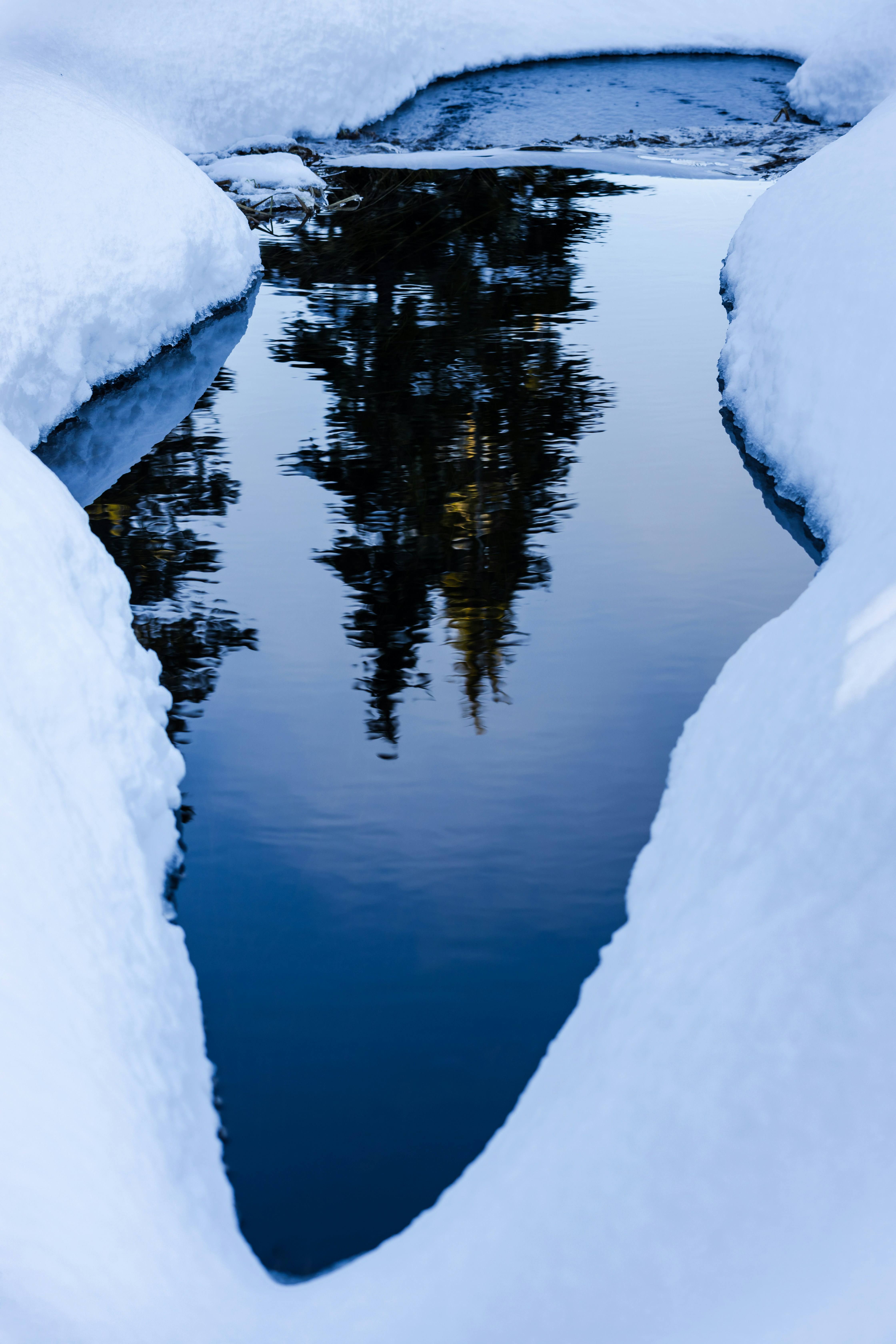 Greg Rosenke (@greg_rosenke) | Unsplash Photo Community