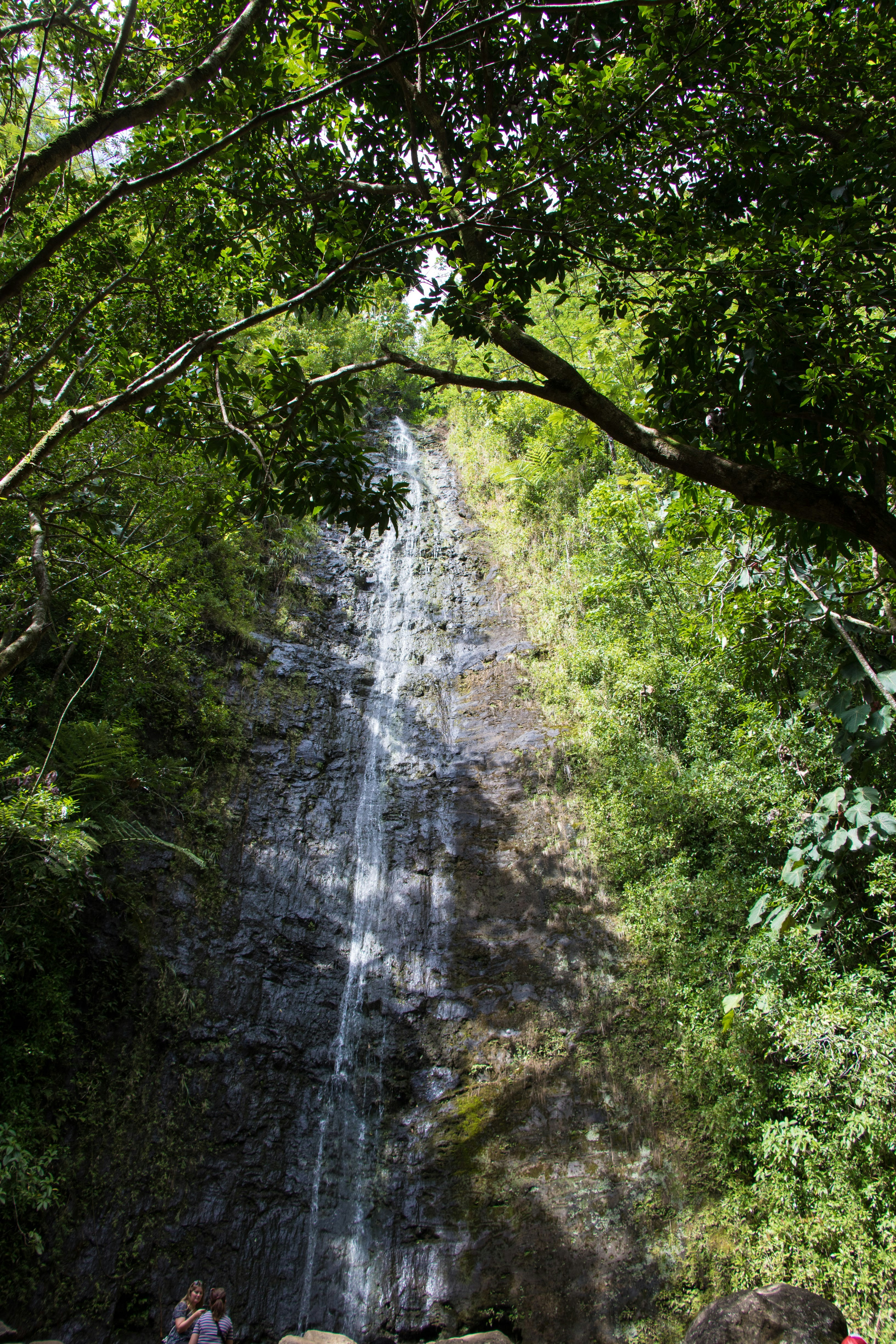 Photo by Olusola O with Canon EOS RP