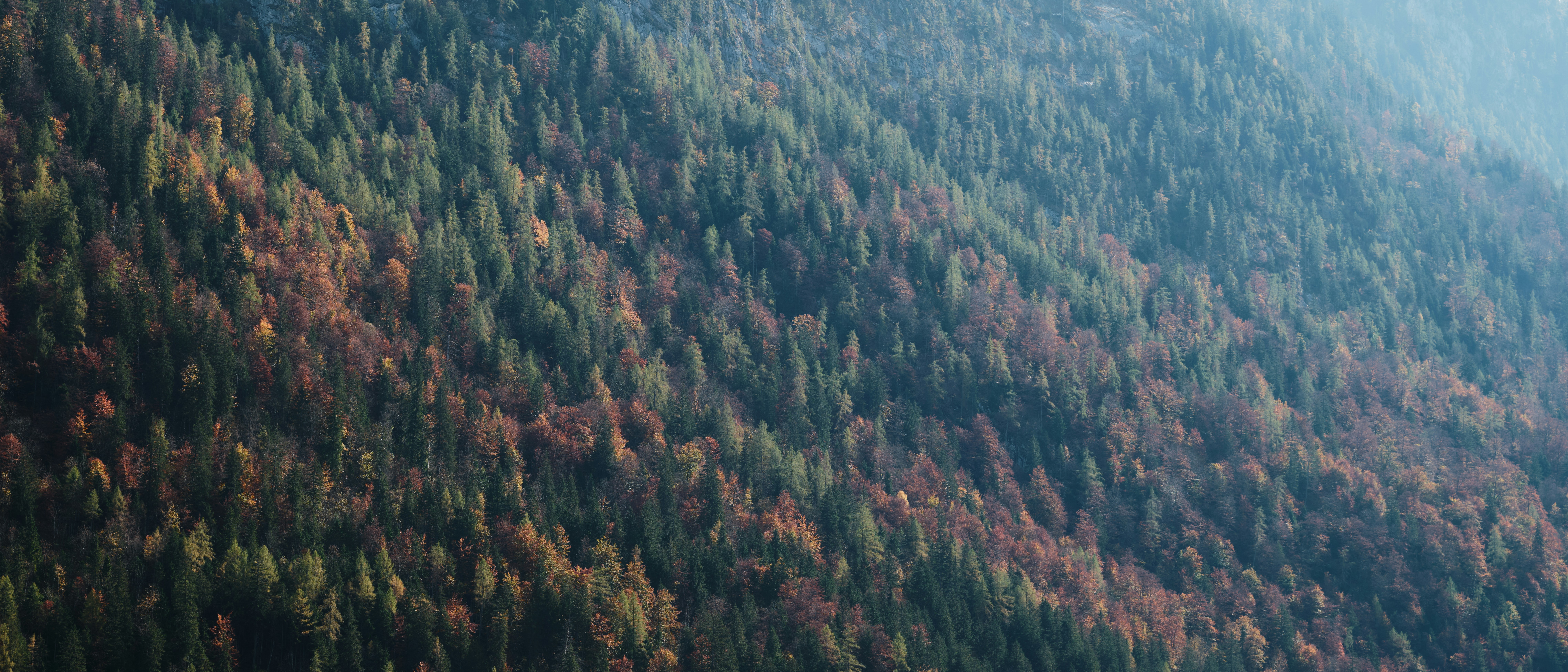 Joshua Kettle (@joshuakettle) | Unsplash Photo Community