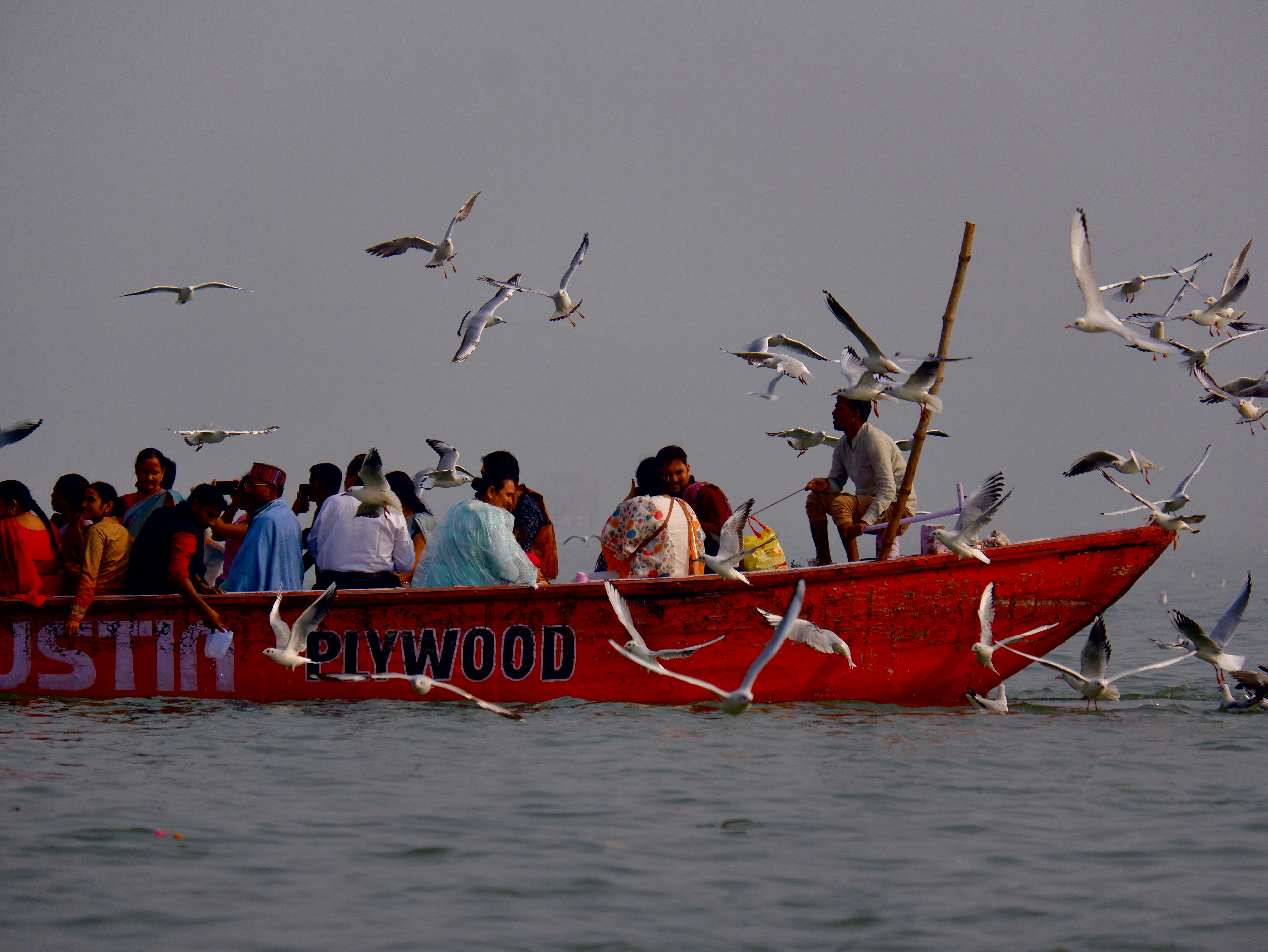 Red Boat, Flocking Shoreline: A Coastal Crew at Dusk