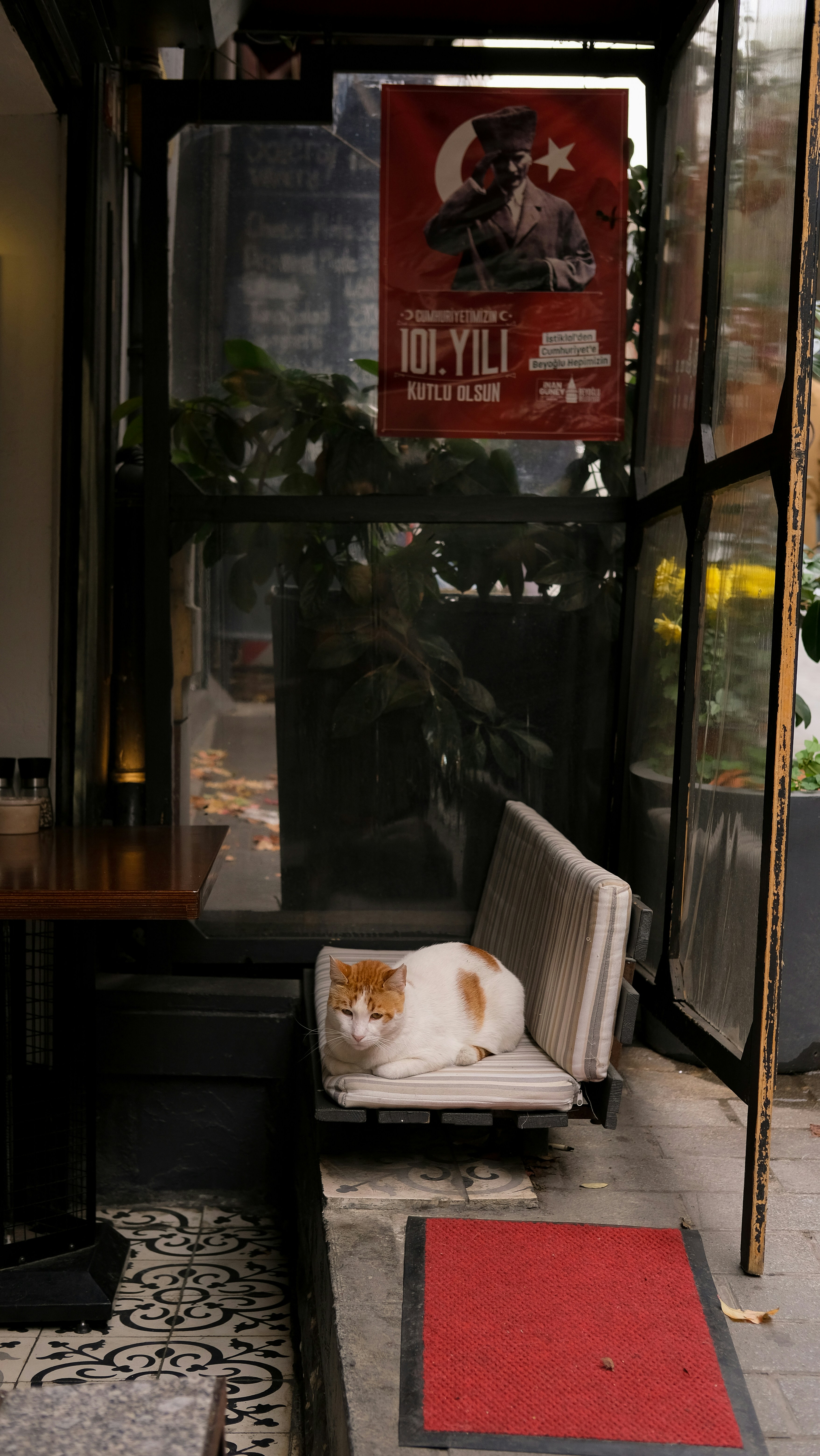 Catnap in a Dim Café Alcove Beneath a Red Poster