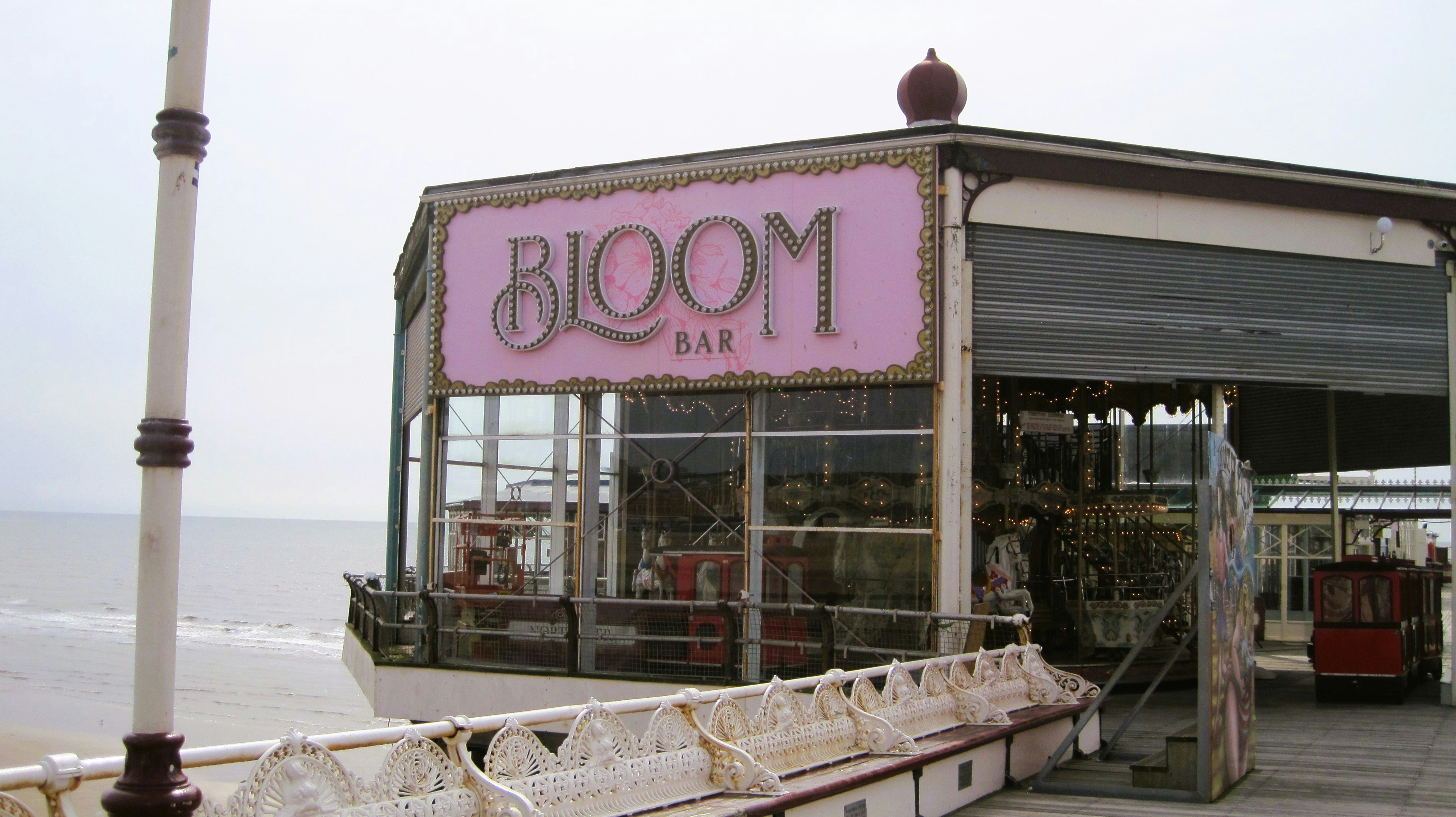 A pink sign that says bloom on the side of a building photo – Free ...