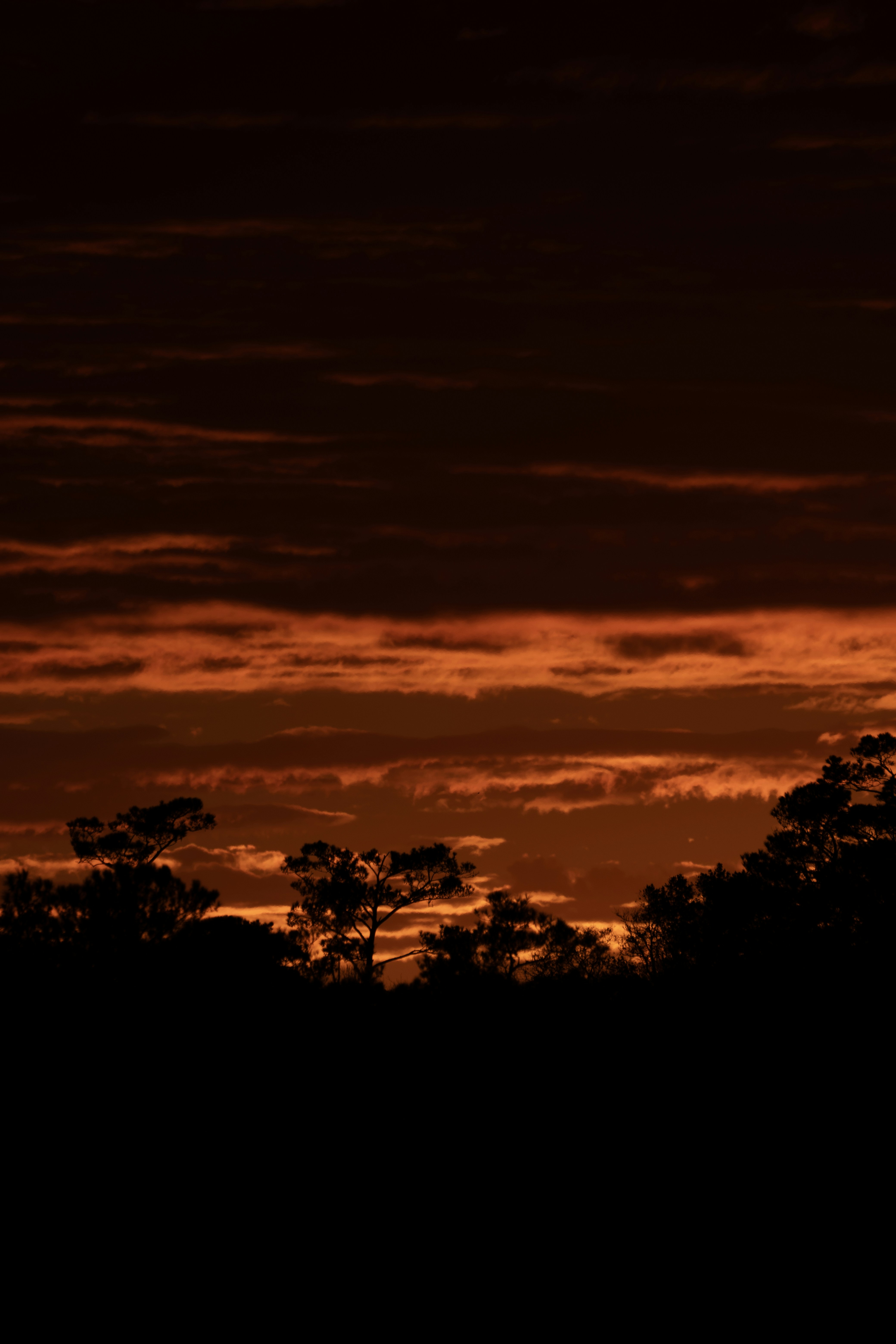 Crimson Dusk over Silent Pines