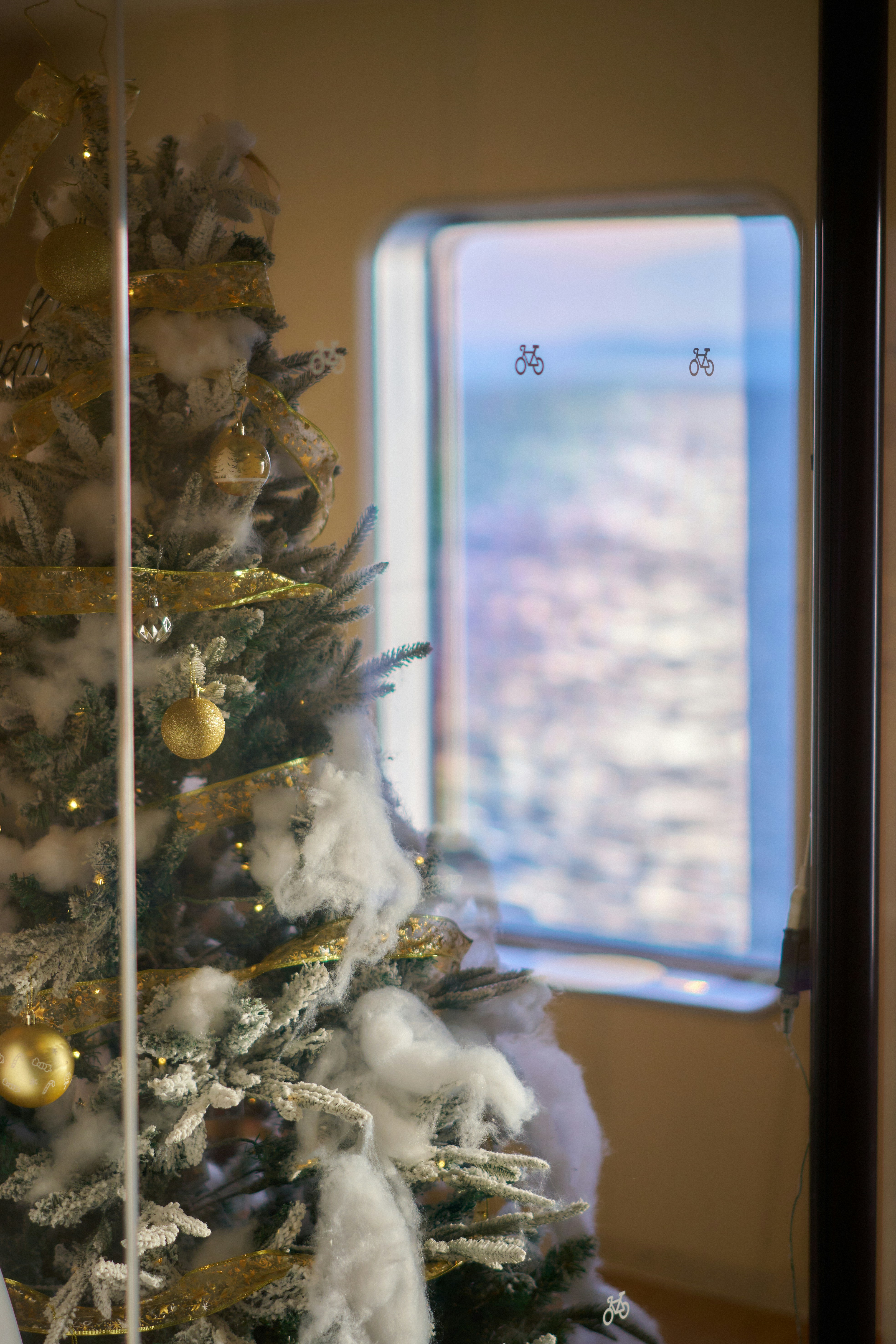 Snow-kissed Christmas Tree Reflected in a Train Window