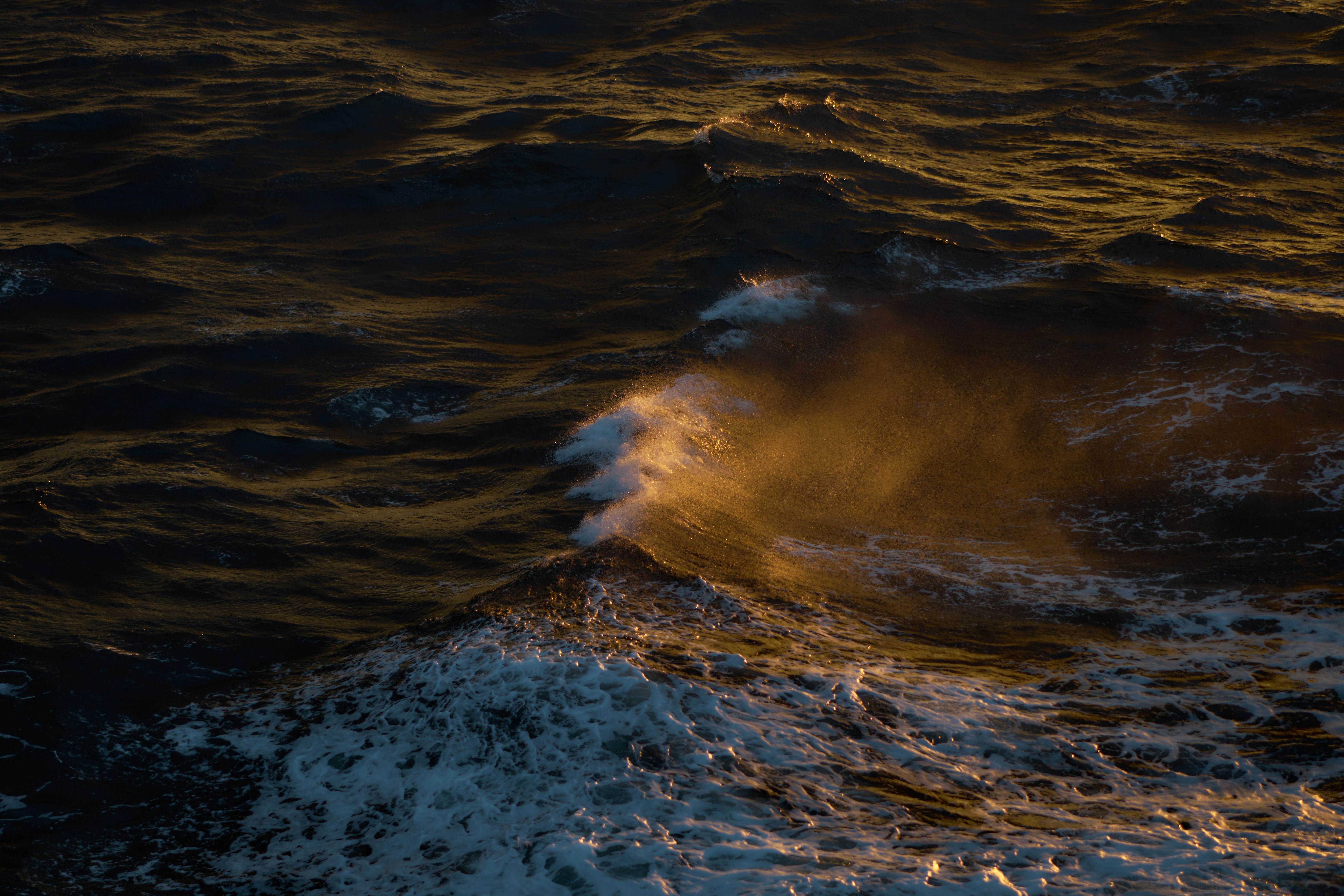 Photo by Buddy AN with Sony Alpha 7R V