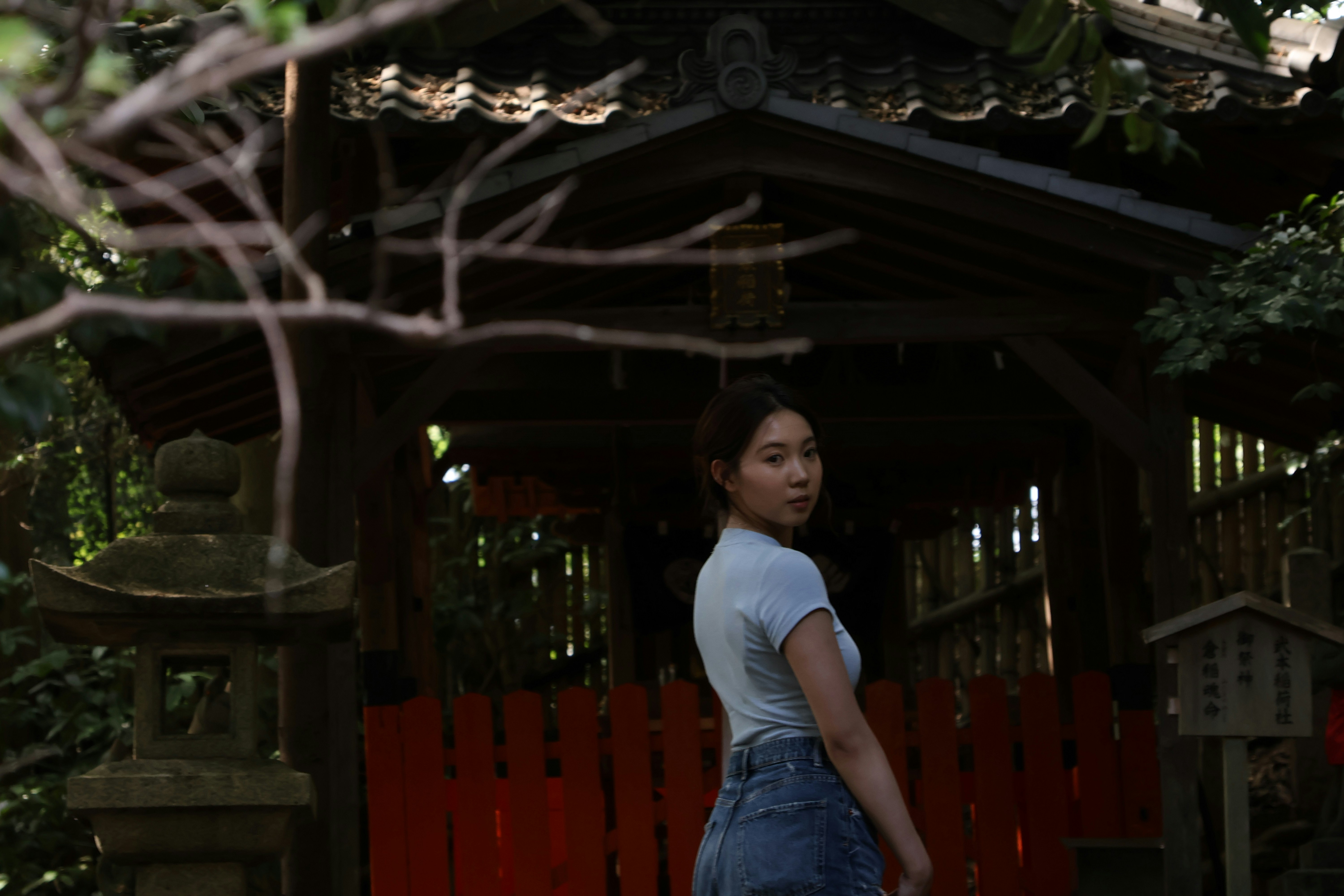 Quiet Resolve at the Shrine Gate