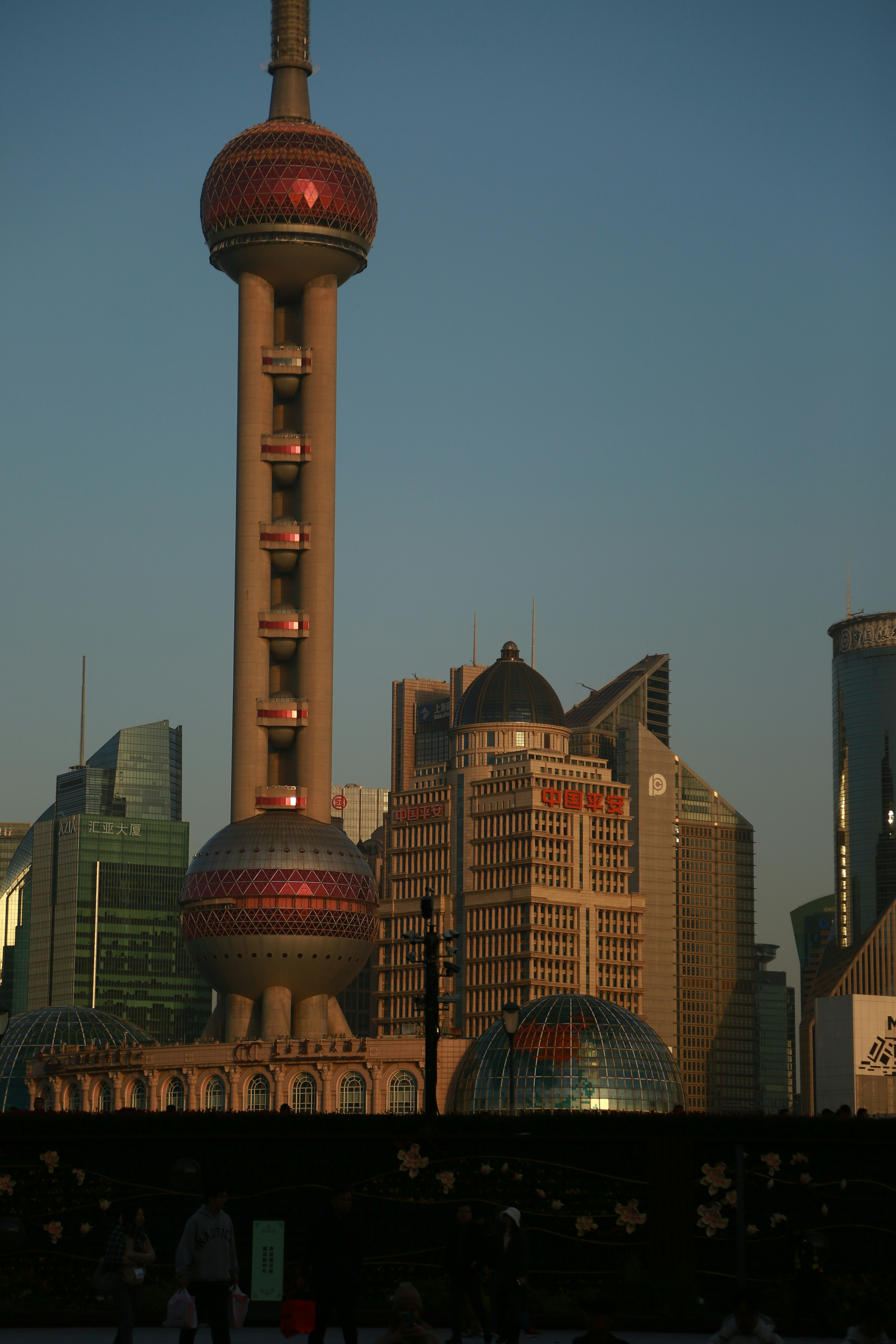 Taipei Skyline: The Pearl of the City Rises above the Dusk