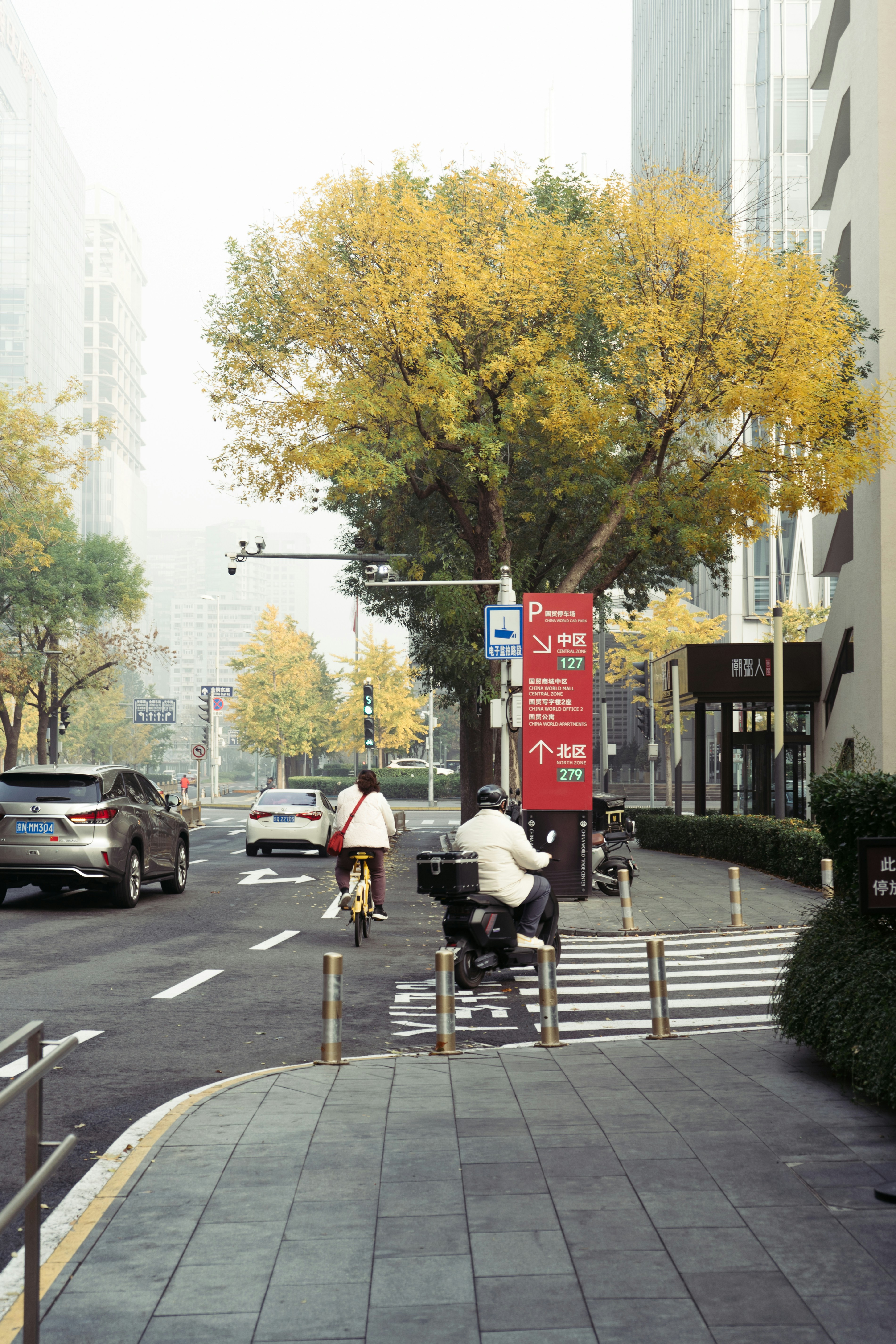 Amber Canopy Over Steel and Street: Red Signpost Framing a Biker Crossing