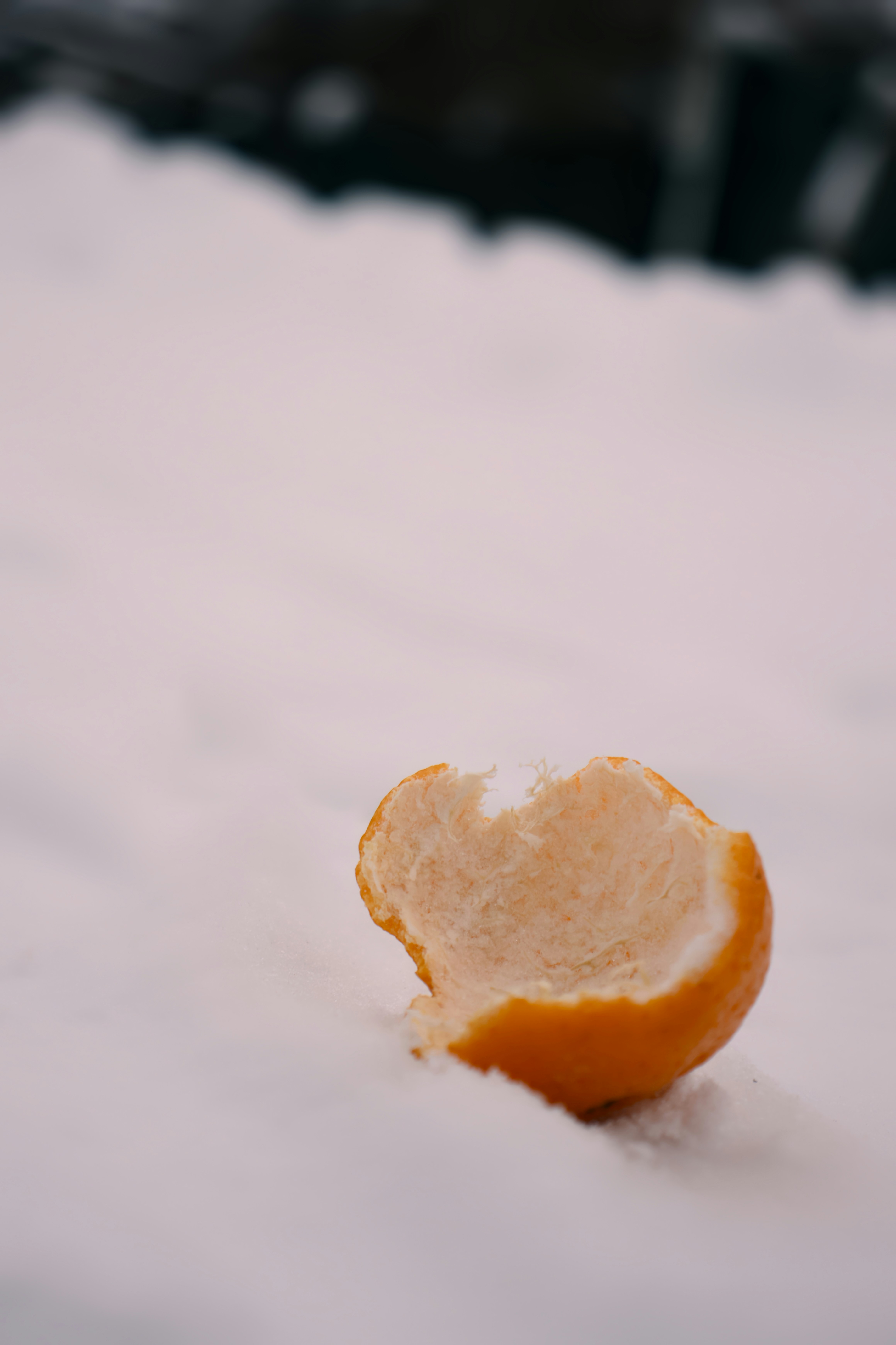 Citrus Fragment on Snow: Warm Color in a Cold Plain