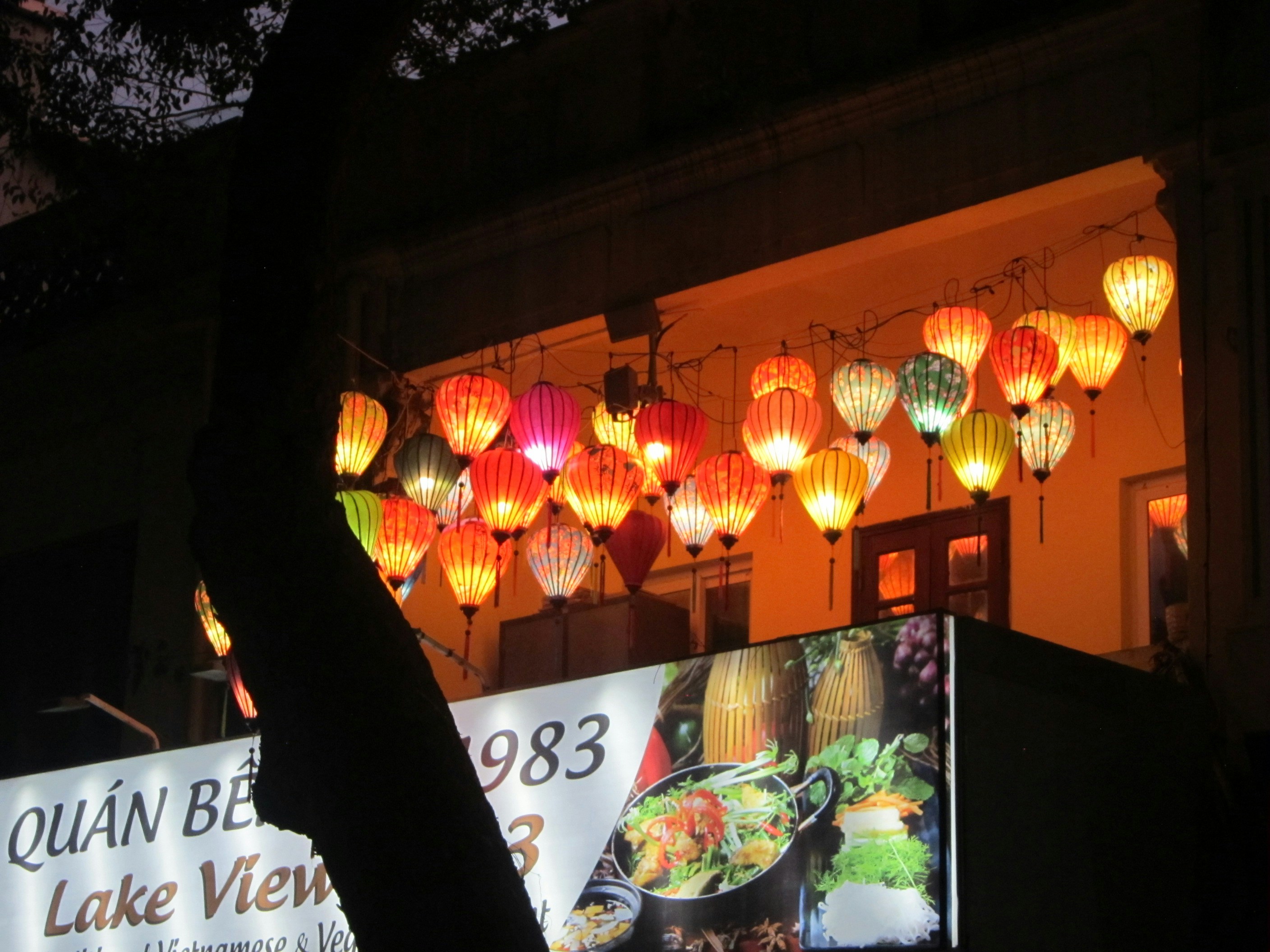 Colorful paper lanterns illuminate a storefront at night, casting warm hues over a banner reading Lake View, with a dark tree silhouette framing the scene.