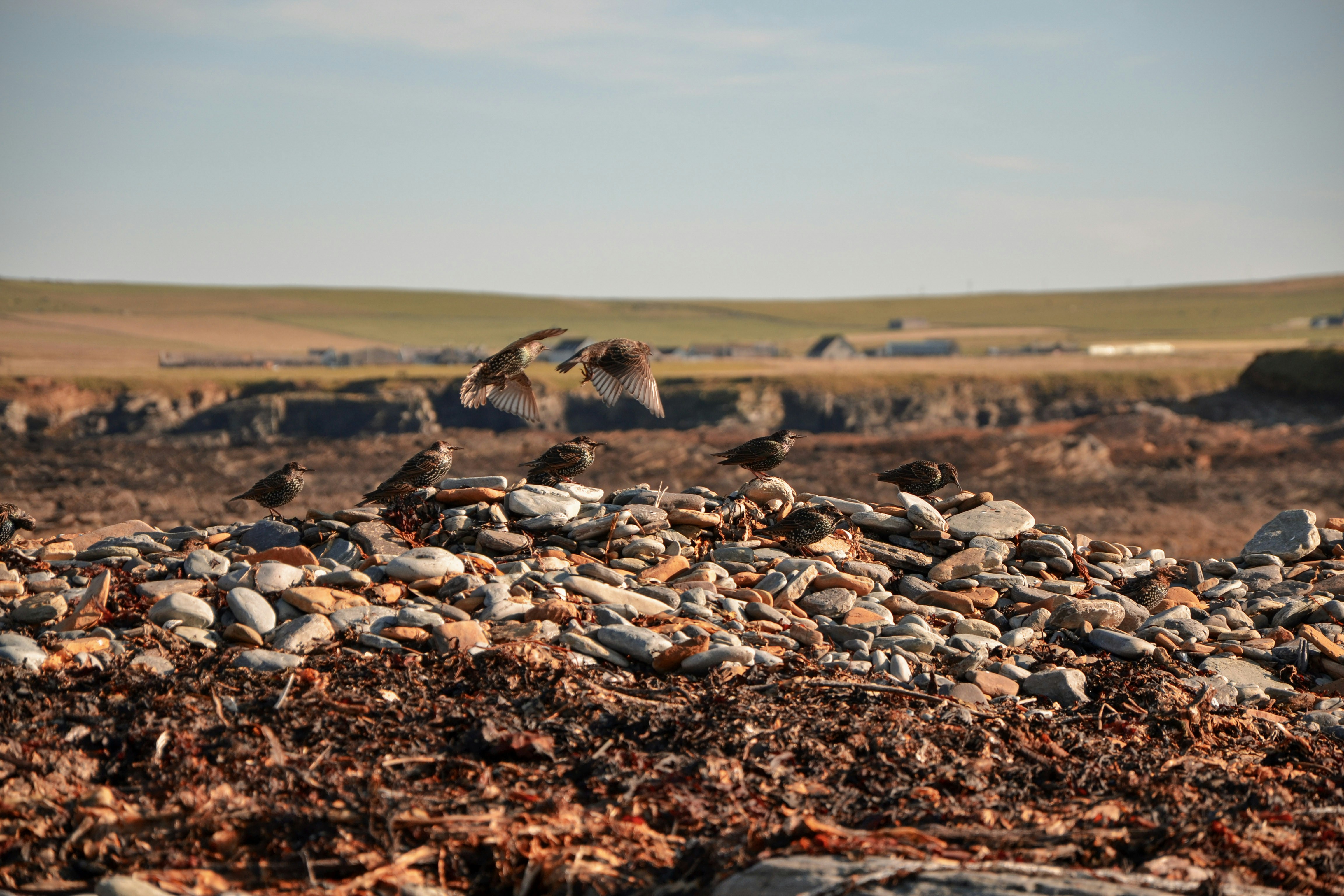 Photo by Victor Bouton with Nikon D3100