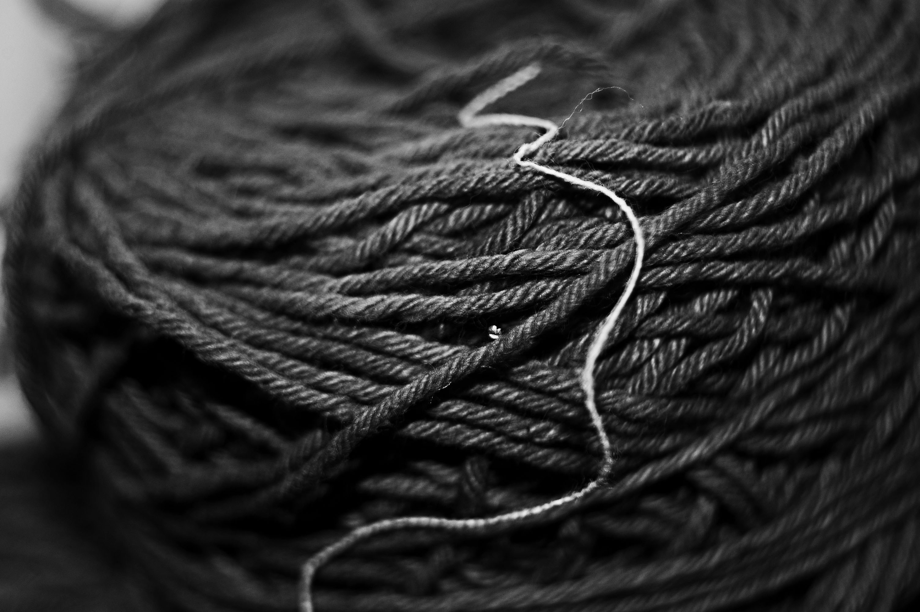 Photo by Estefania Ventura with Nikon D40