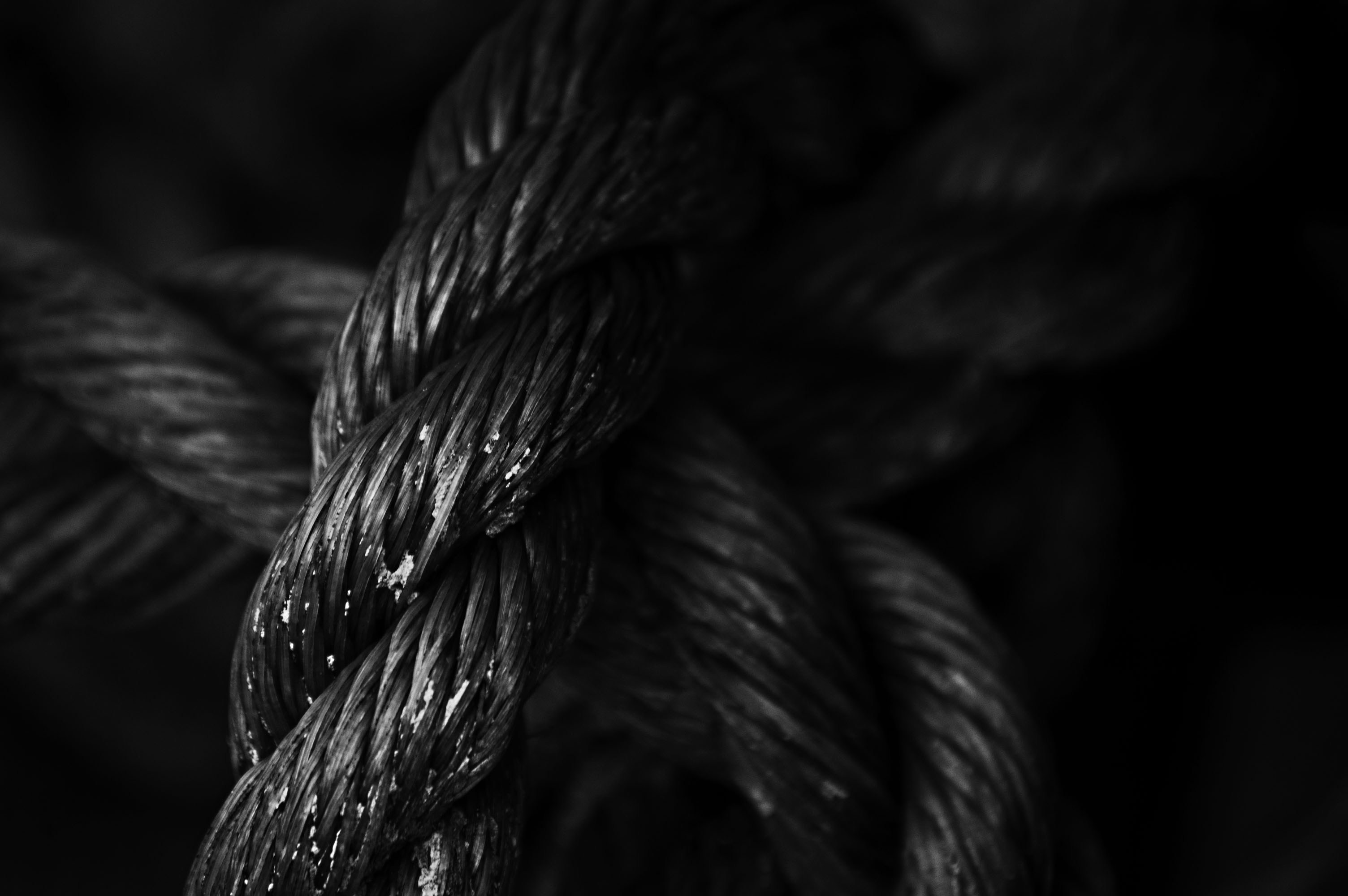 Density Pictures | Download Free Images on Unsplash