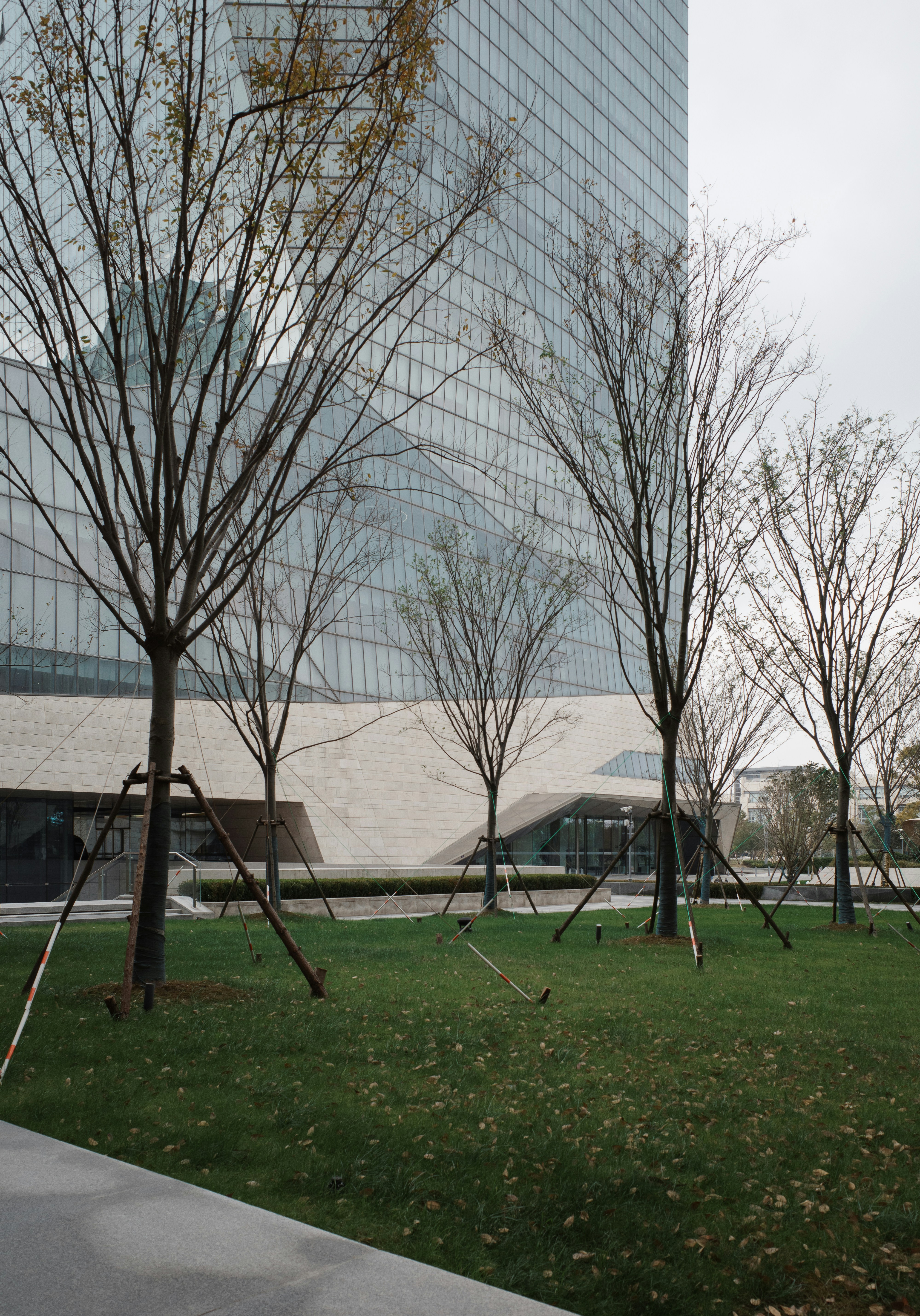 Glass Facade Meets Quiet Orchard