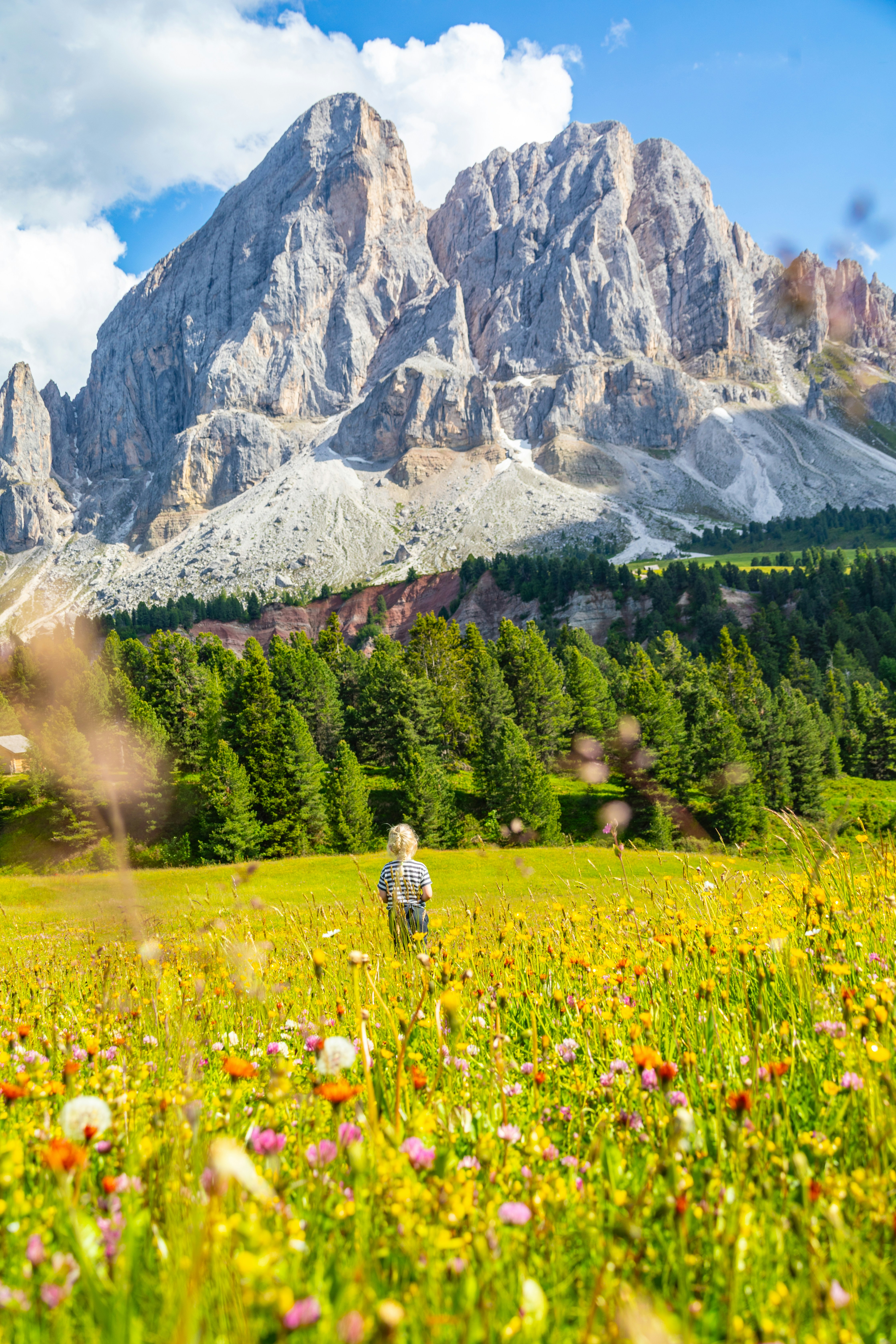 Meadow Walk at the Foot of the Looming Peaks