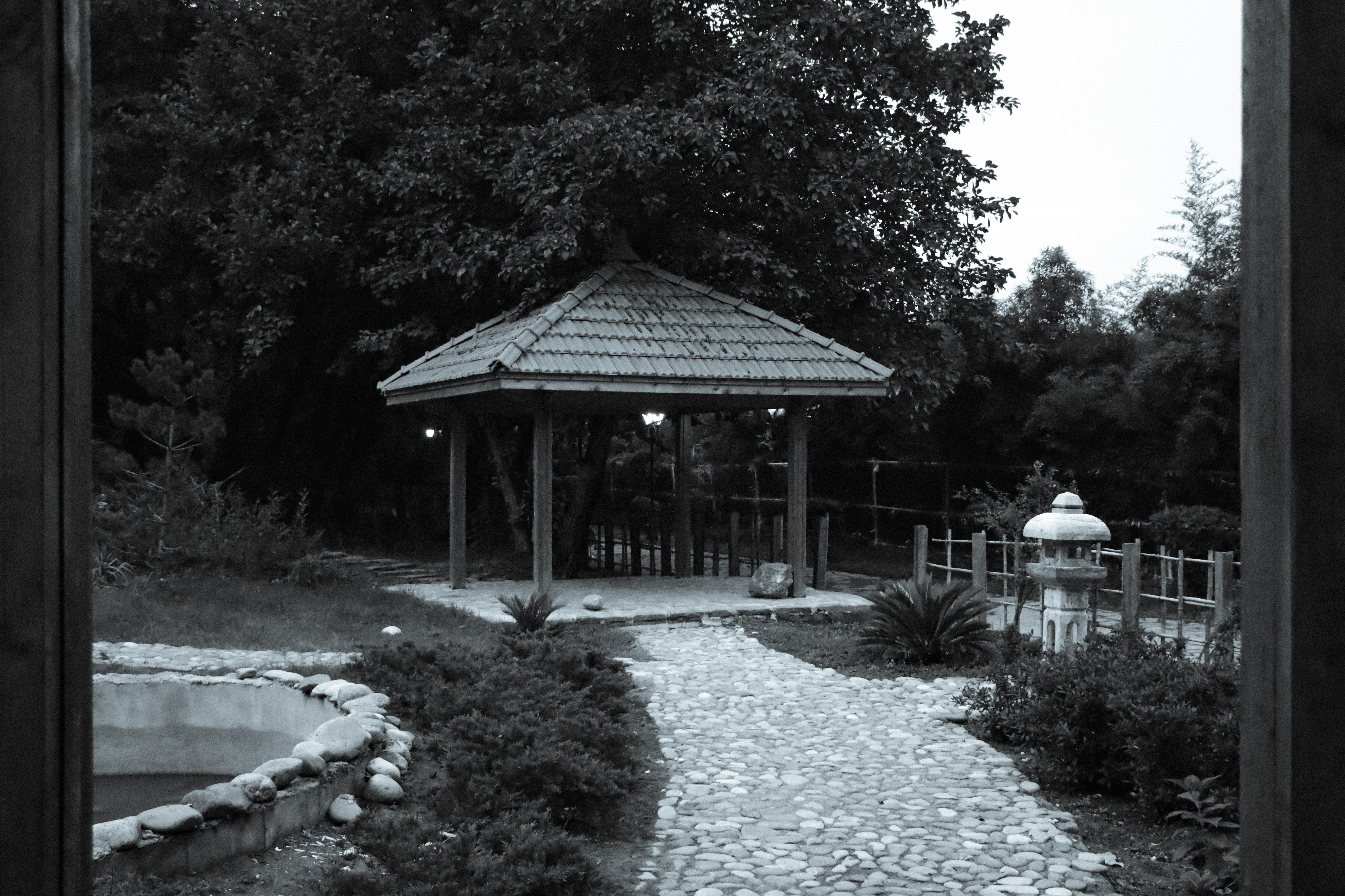Serenity Under the Canopy