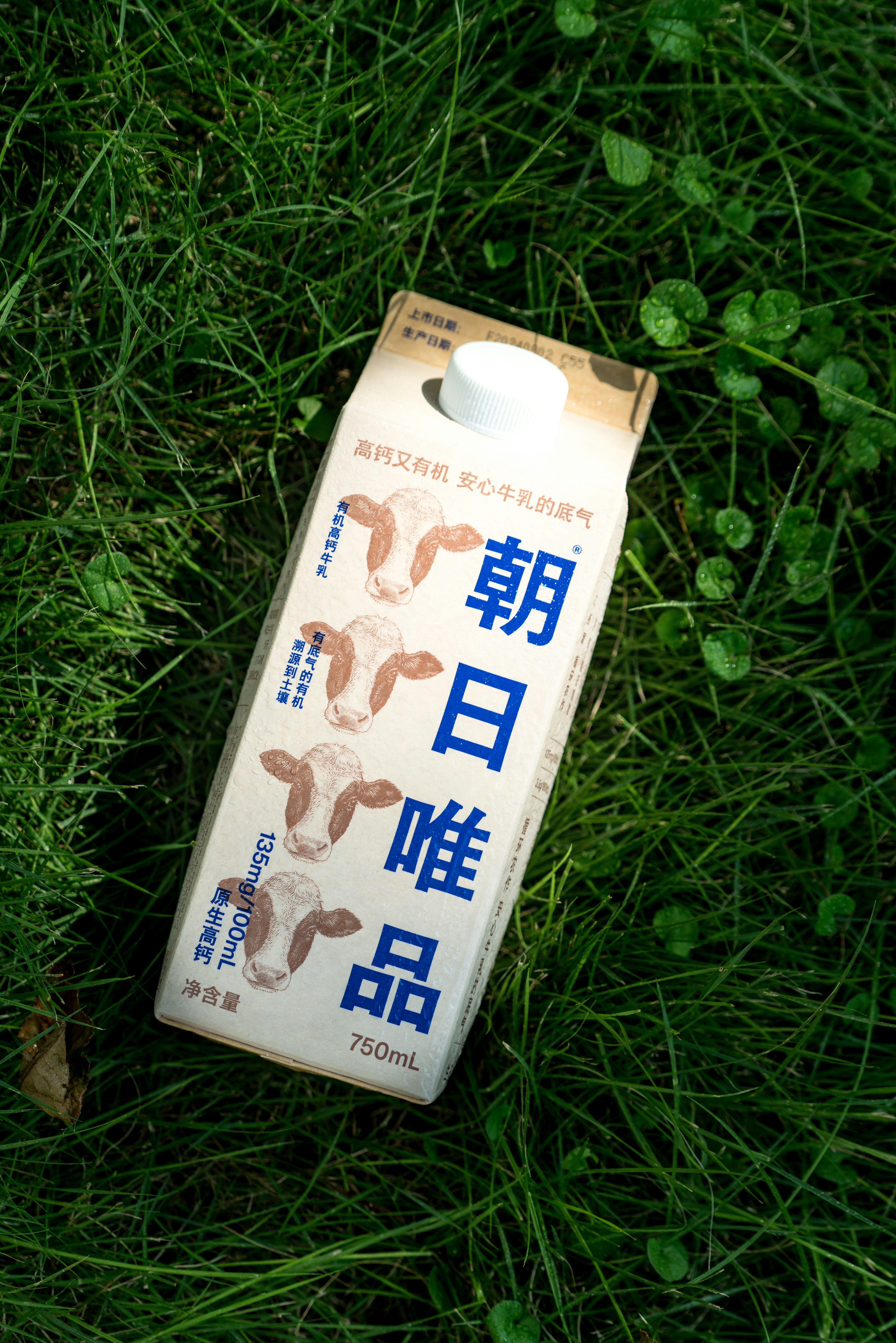 Photo by oo verthing with Sony Alpha 7R III