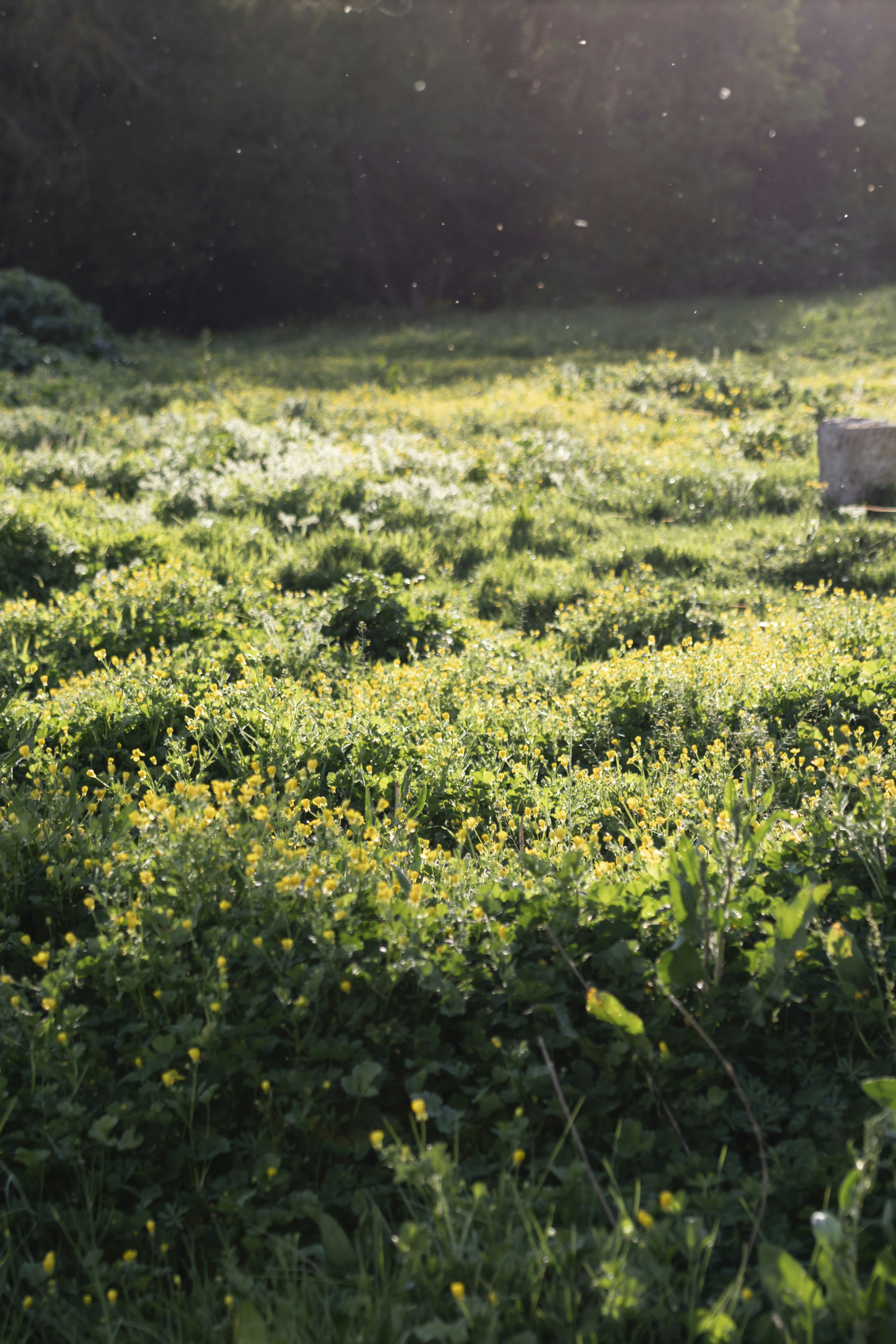 Photo by Burak Başgöze with Canon EOS 80D