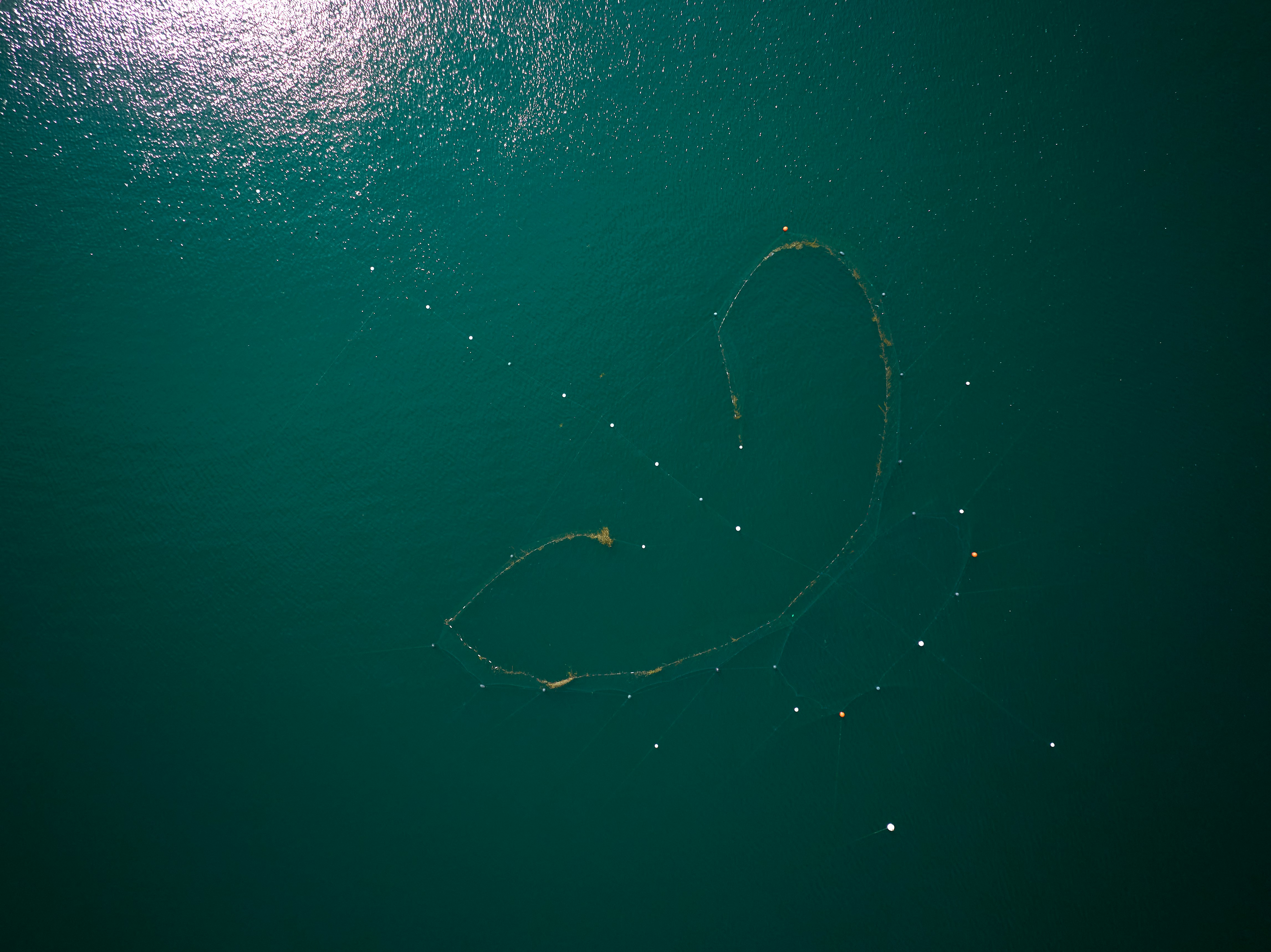 Teal Sea Heart: Aerial Tracery of a Rope Outline Under Sunlight