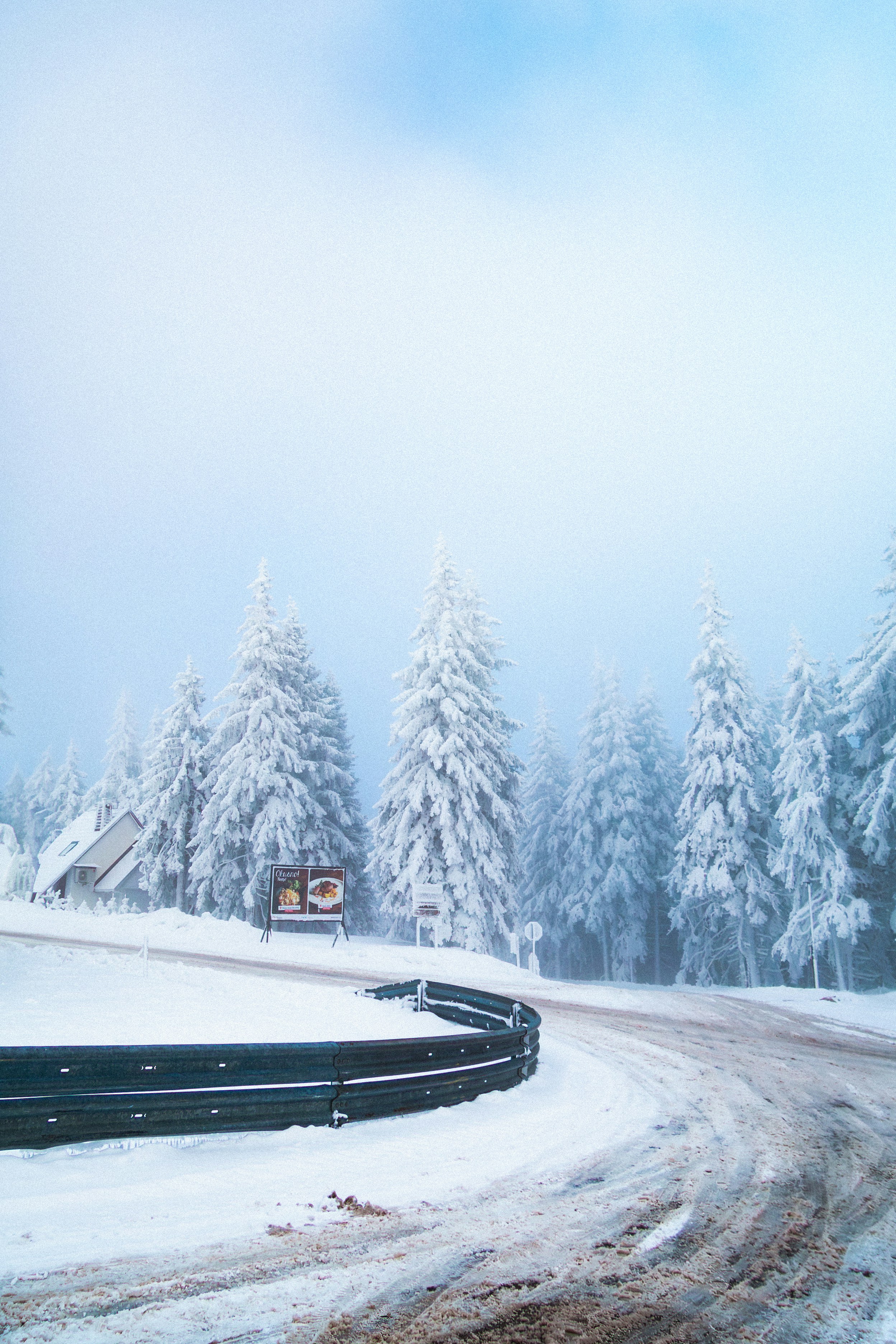 Snowbound Bend: A Quiet Road Winding Through Frosted Pines
