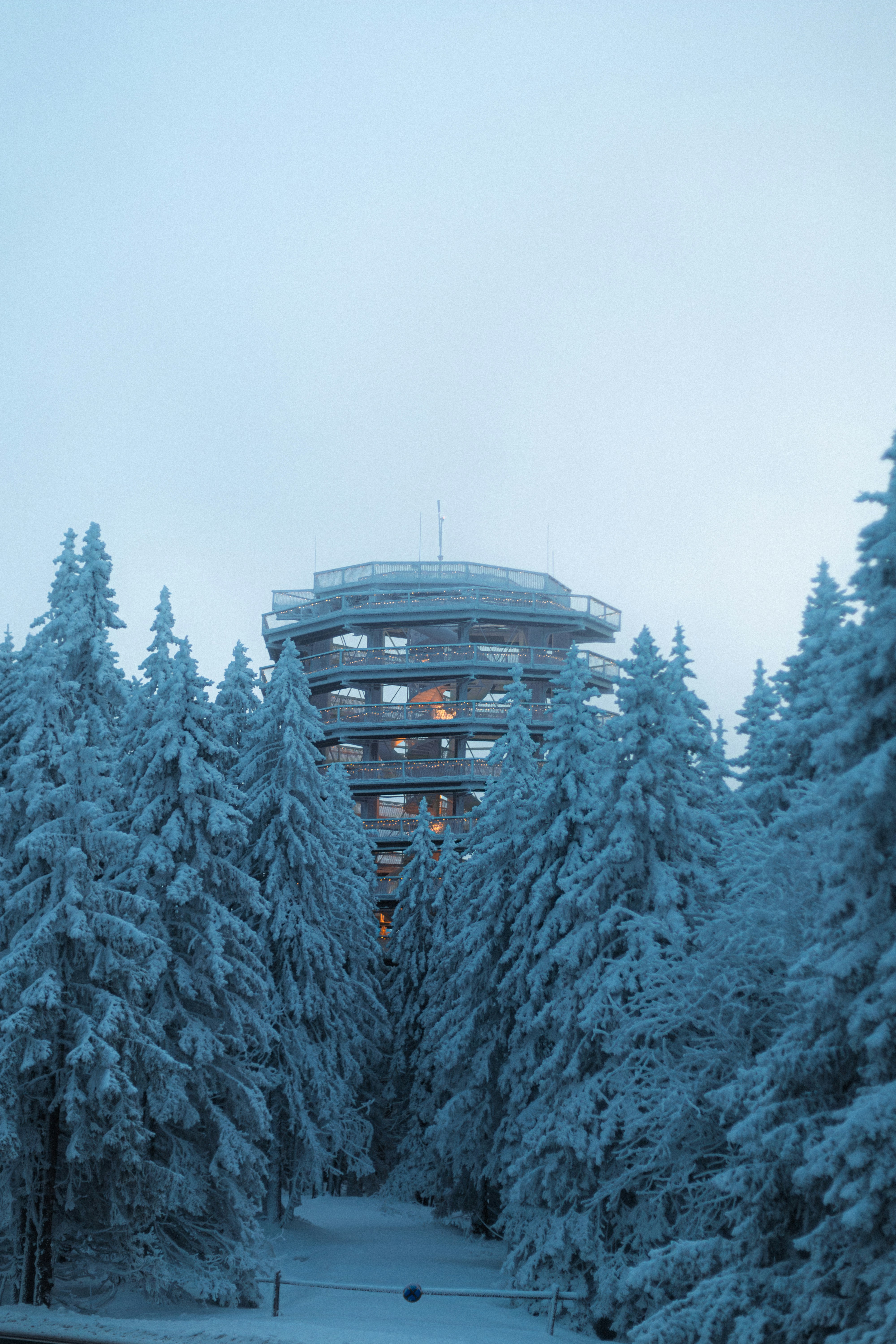 Winter Sentinel: Lookout Tower Emerging Through Frosted Pines