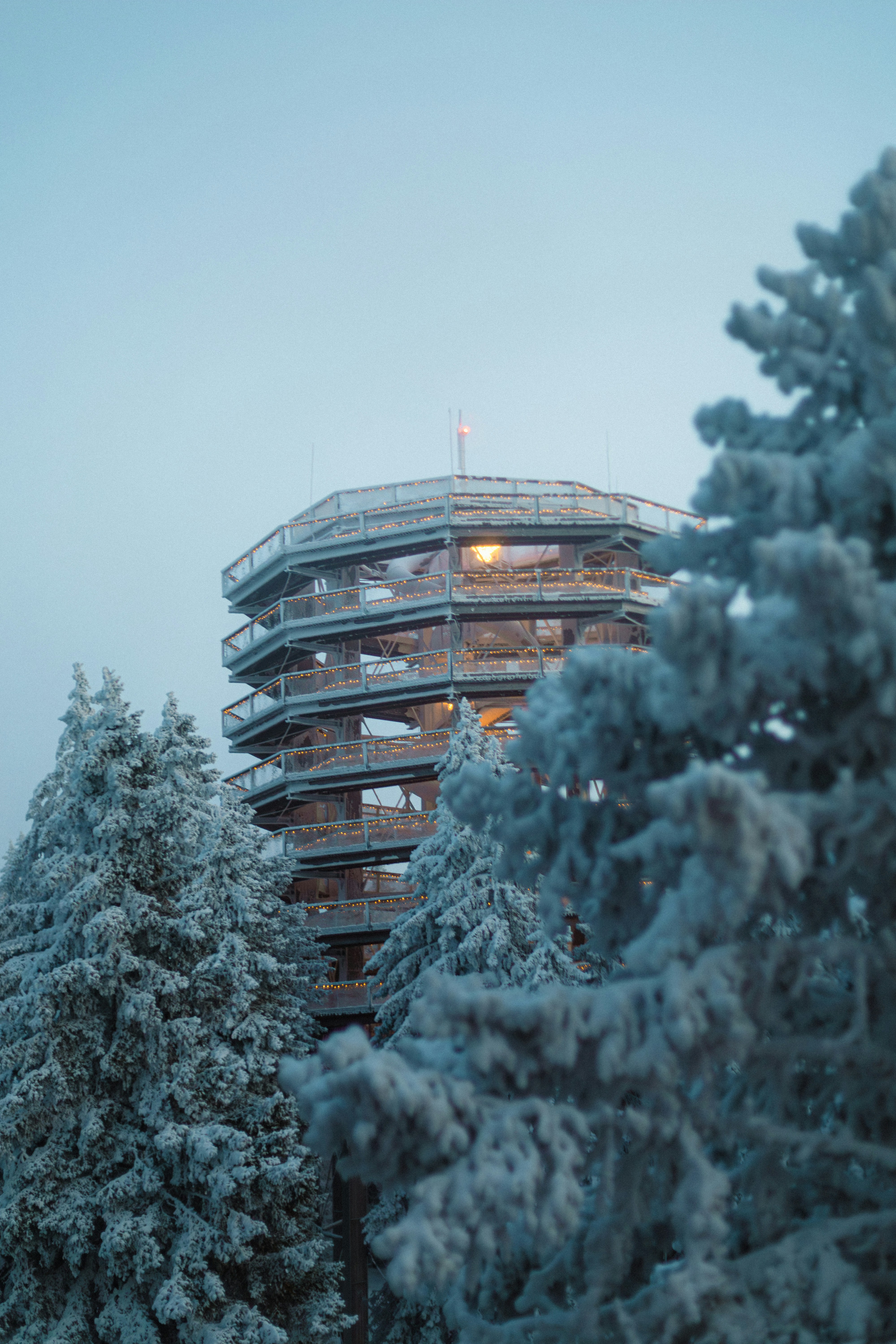 Snowbound Lookout in Blue Hour: A Tiered Tower Rising Through Frosted Pines