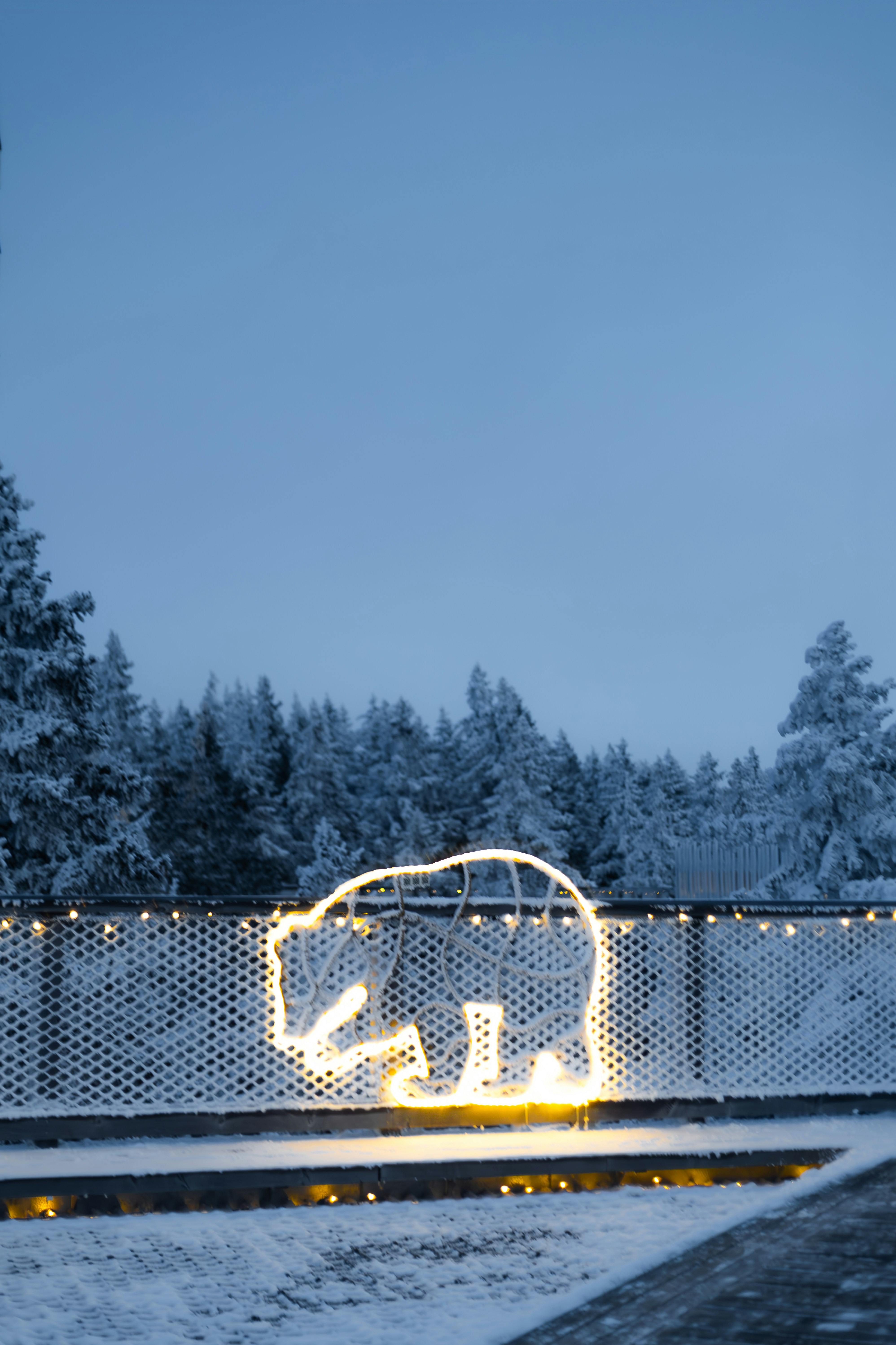 Glowing Bear Silhouette over Snowlit Fence