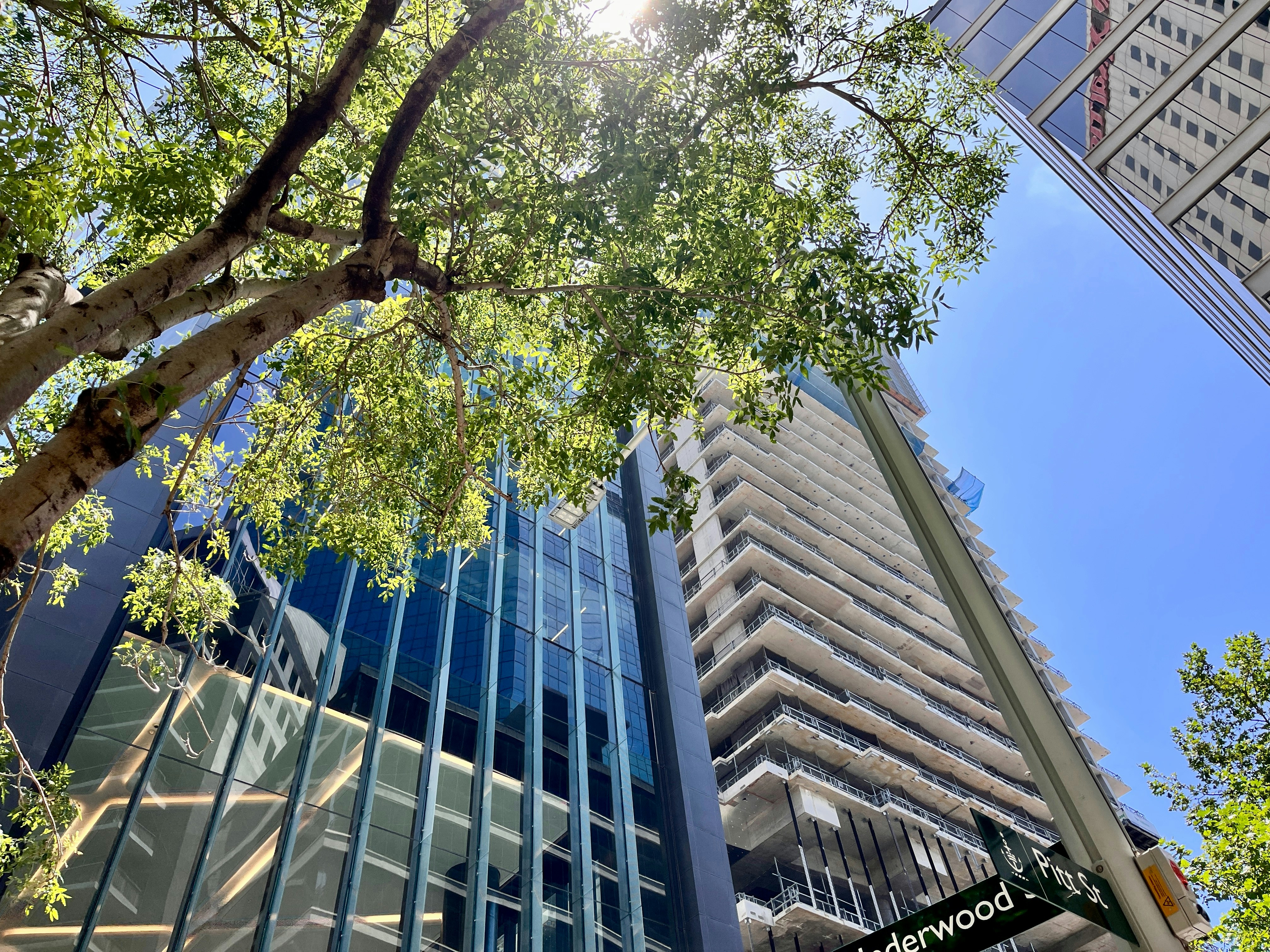 Cerulean Skyline: Glass Giants and a Living Canopy
