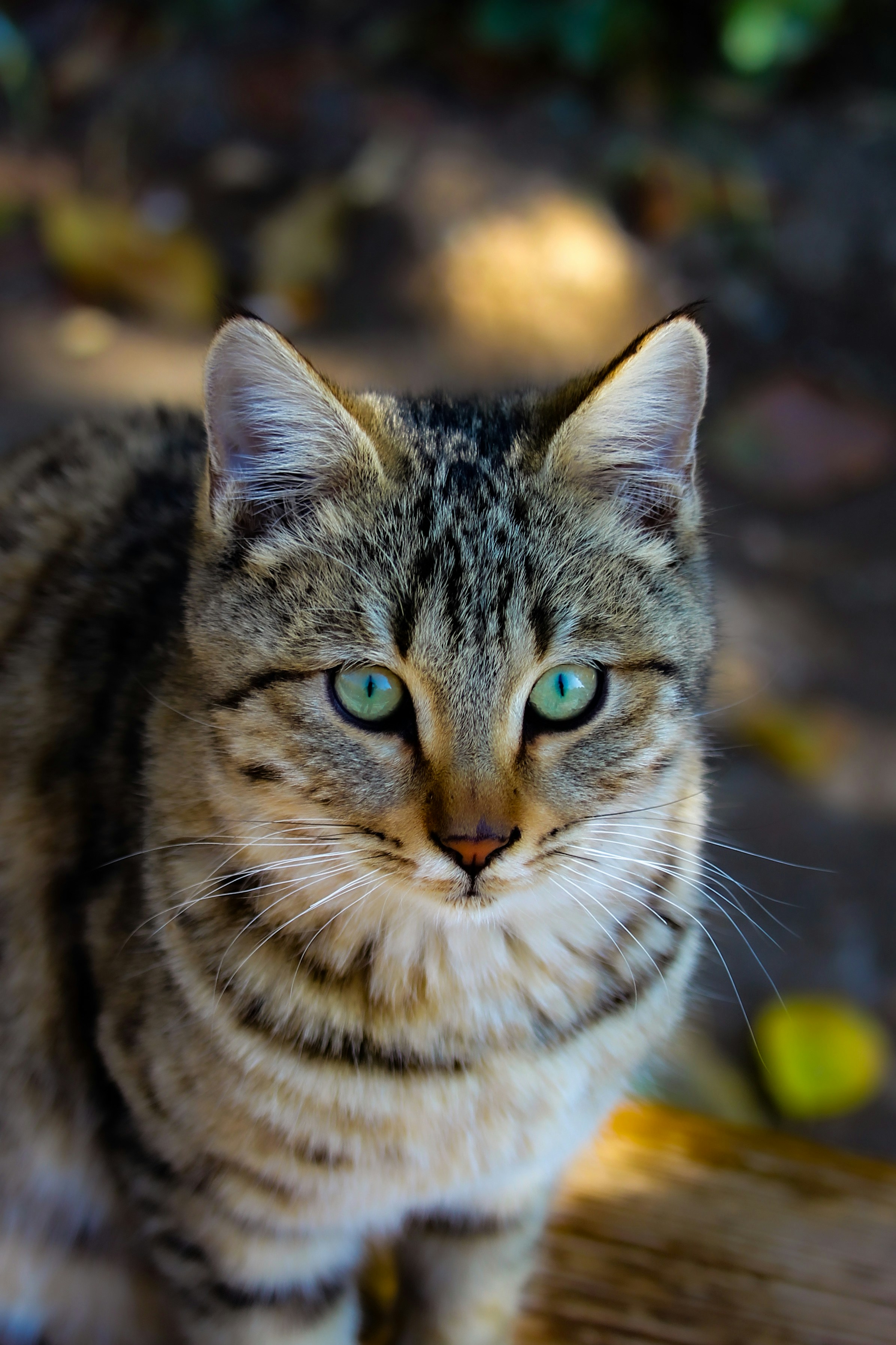 Reza Ghobadi (@rghobadi) | Communauté photos Unsplash