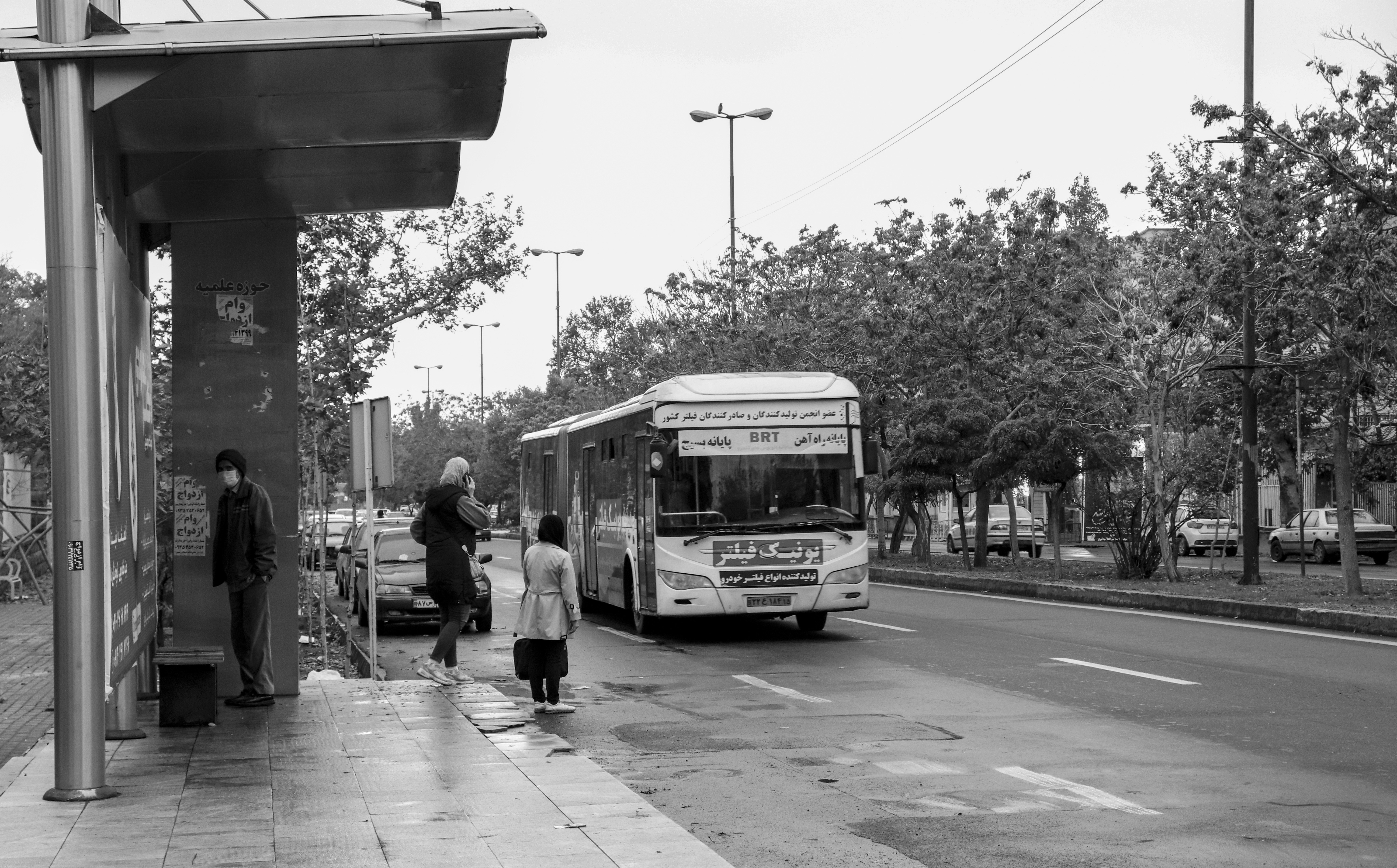 Photo by Sevda Afshar with Canon EOS 800D