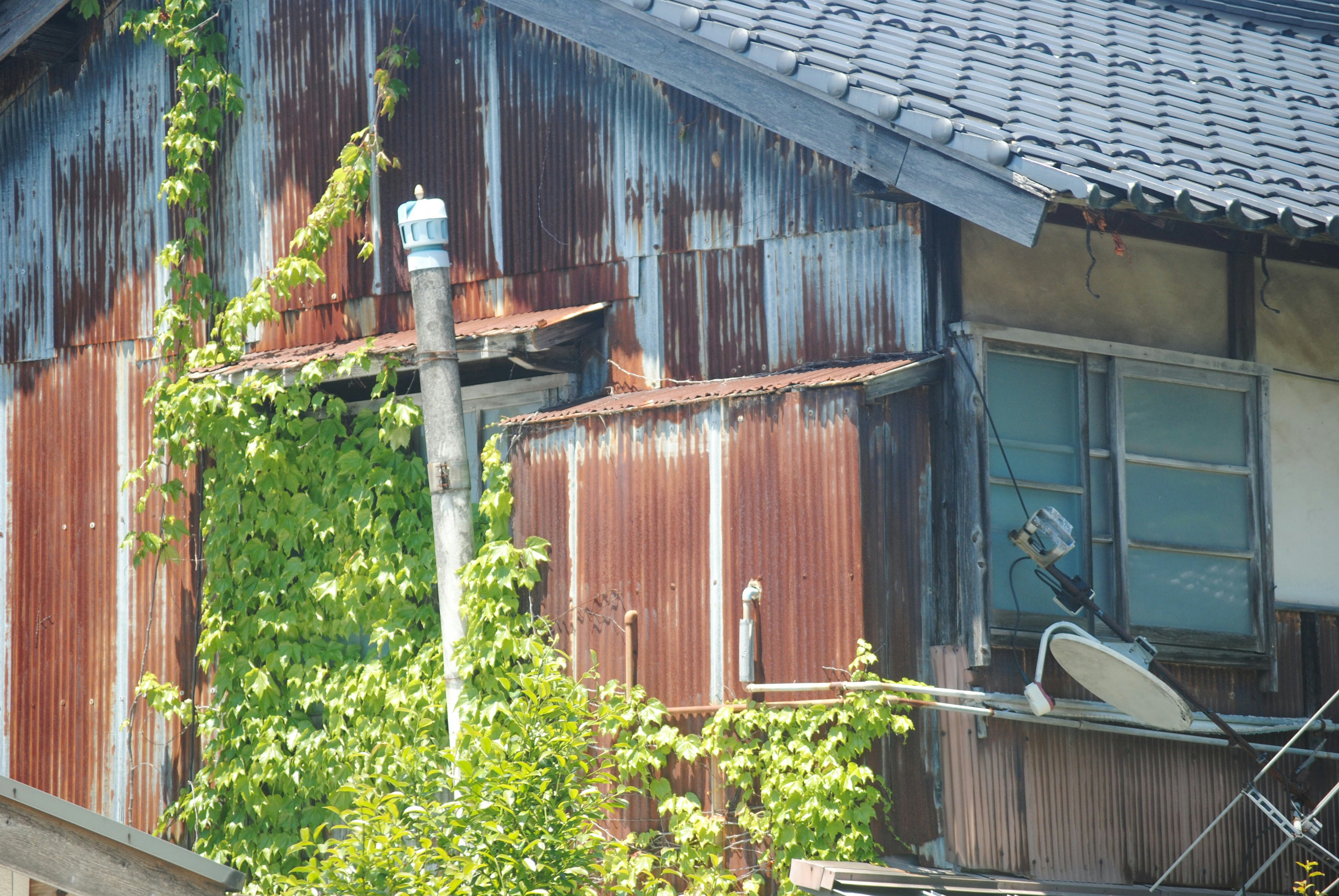 Weathered Red Barn Facade Entwined with Green Vines