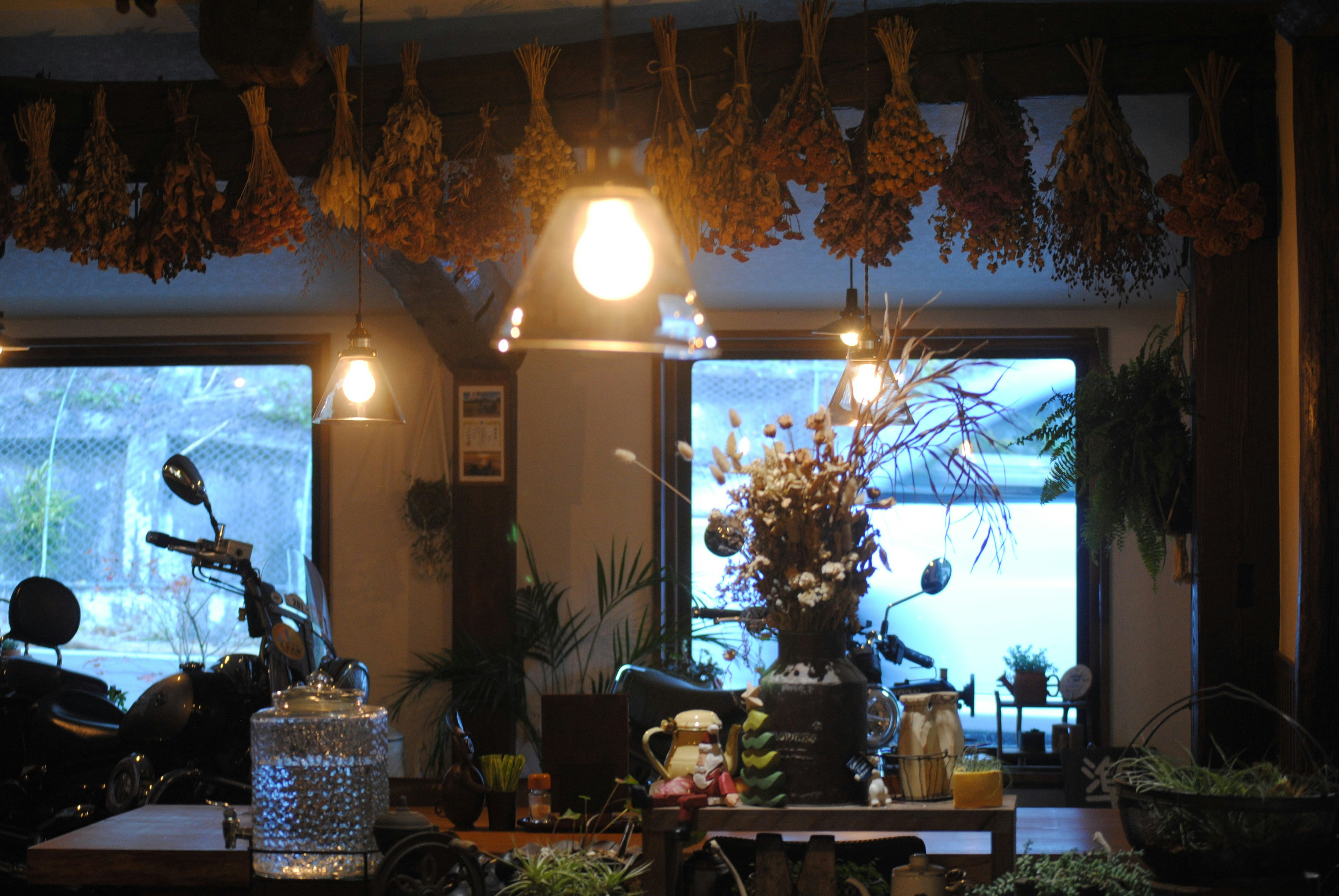Ceiling of Dried Herbs Beneath Warm Orbs: A Rustic Café Portrait