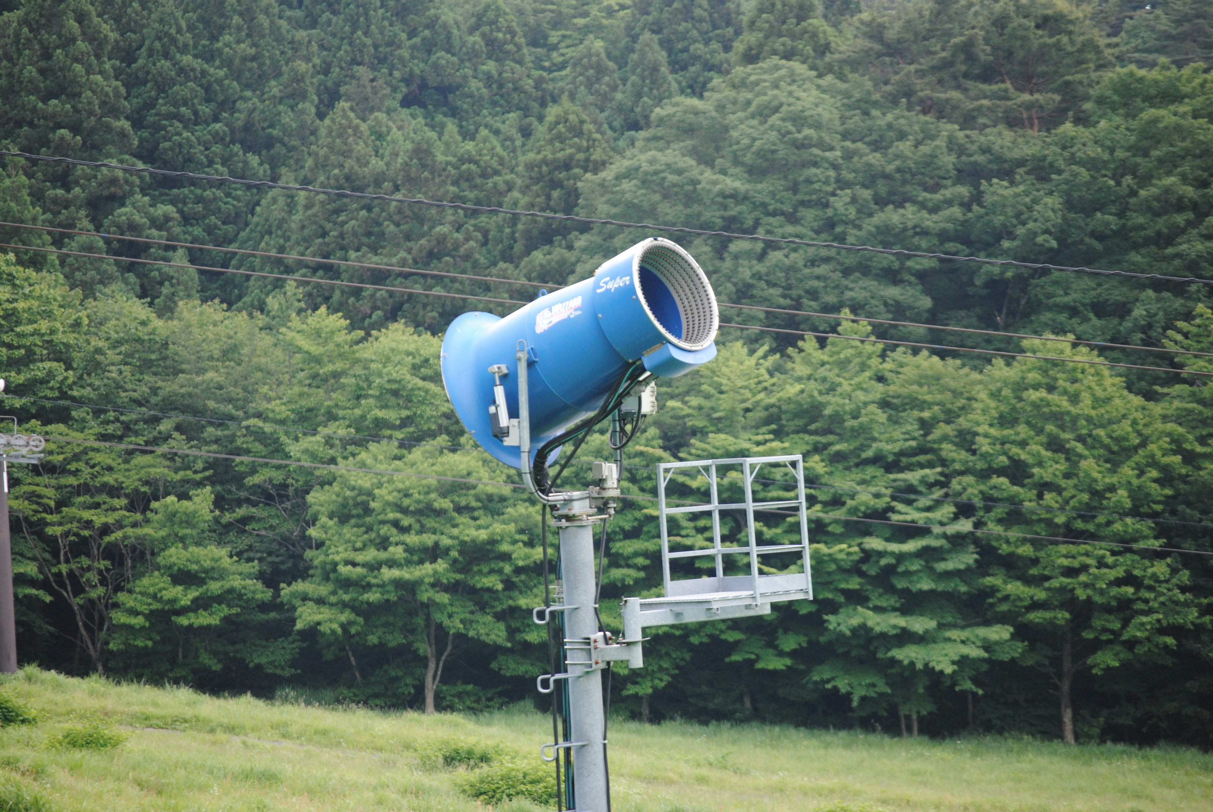 Blue Field Lens: A Broadcast Spotlight in a Green Clearing