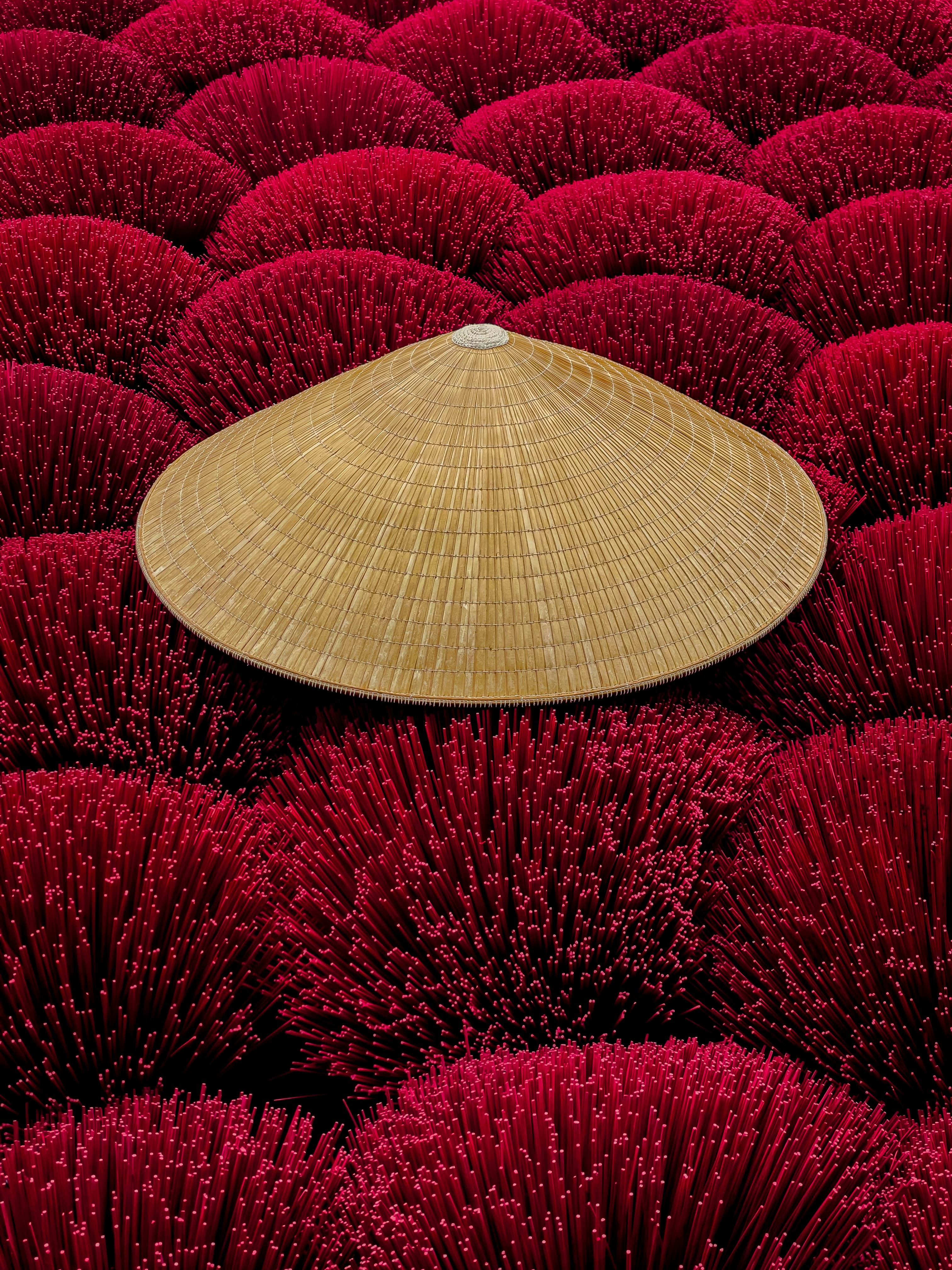 Conical Straw Hat Anchored Among Crimson Coral Tufts