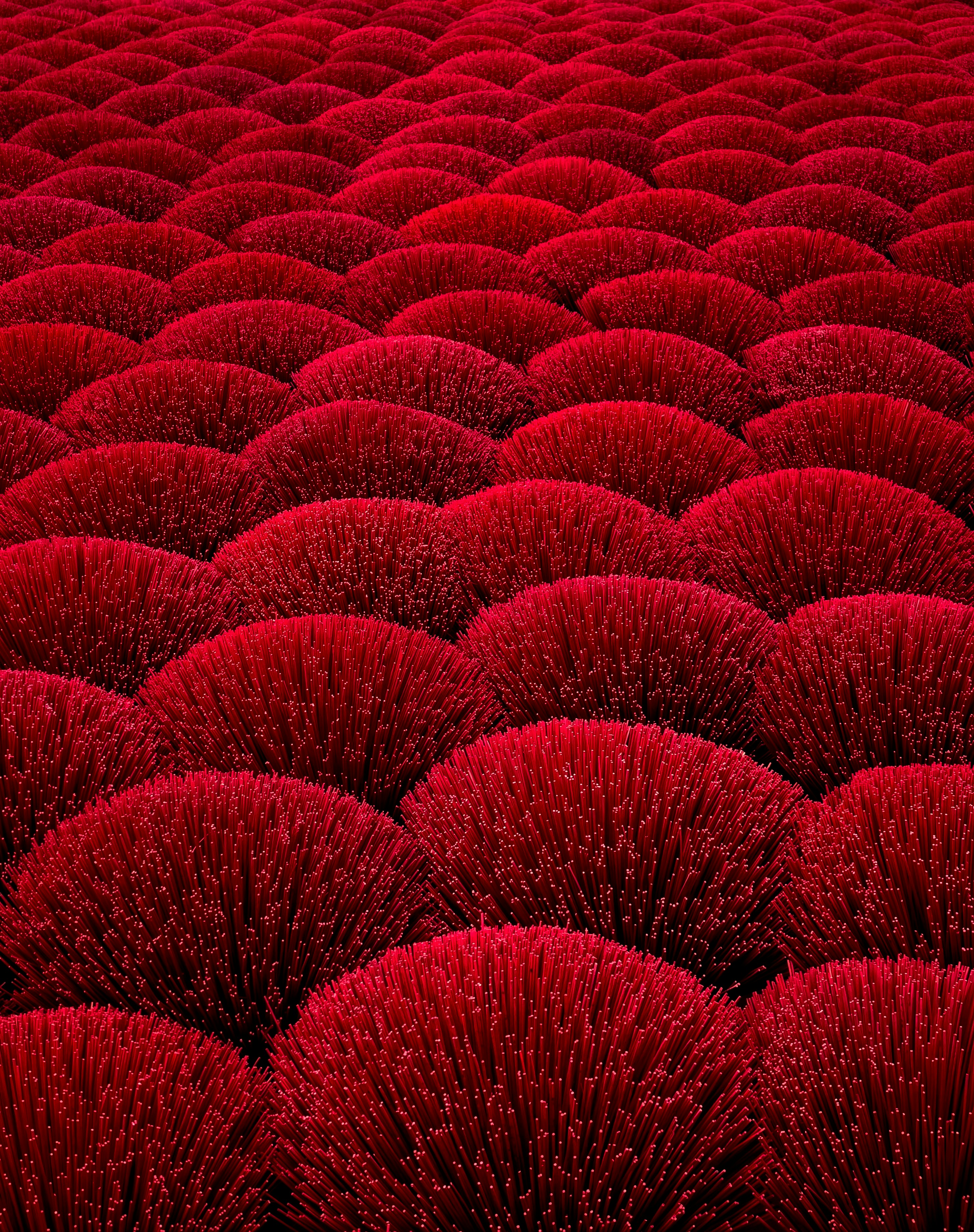 Red incense sticks form a mesmerizing pattern with vivid hues and intricate textures.