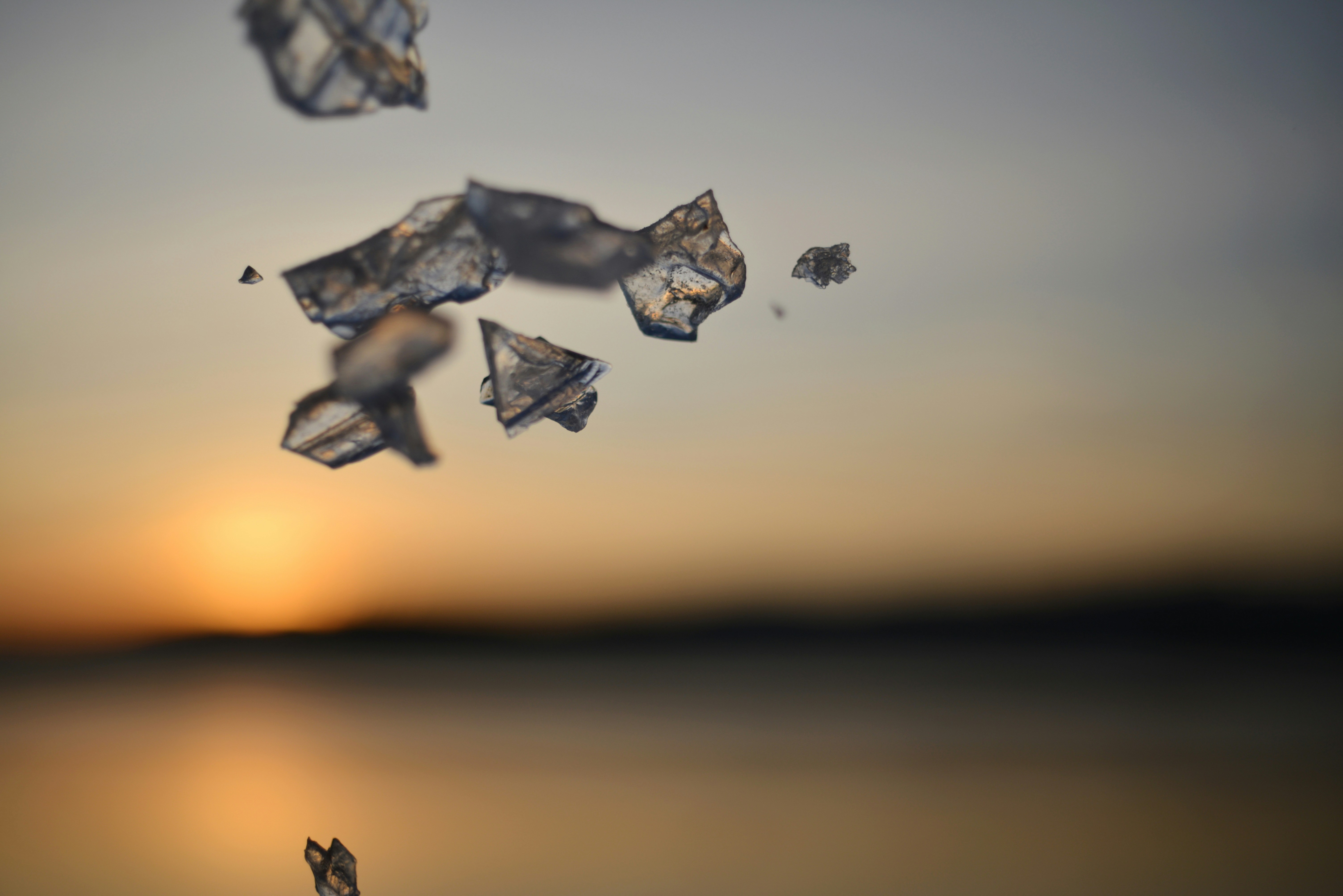 A group of fish floating on top of a body of water photo – Free Ukraine ...